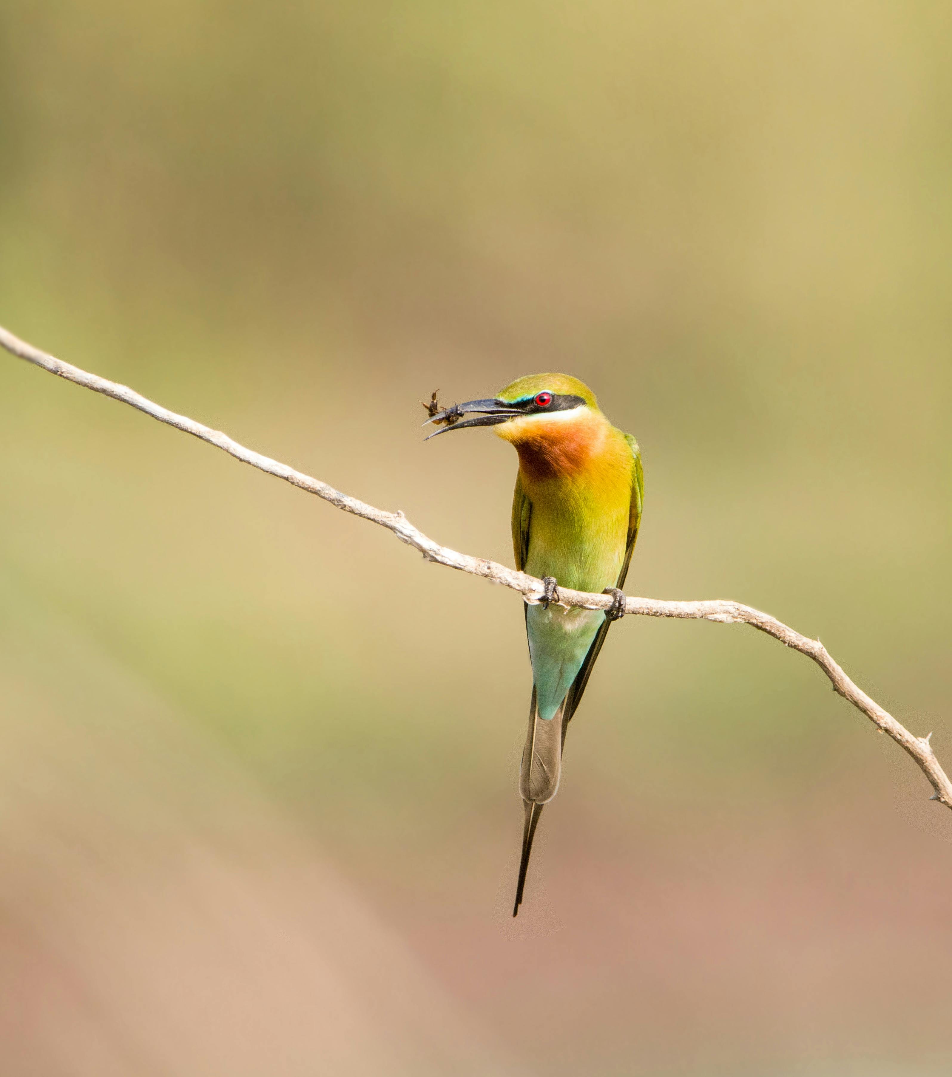 147,863+ Best Free Linkedin background Stock Photos & Images · 100% ...