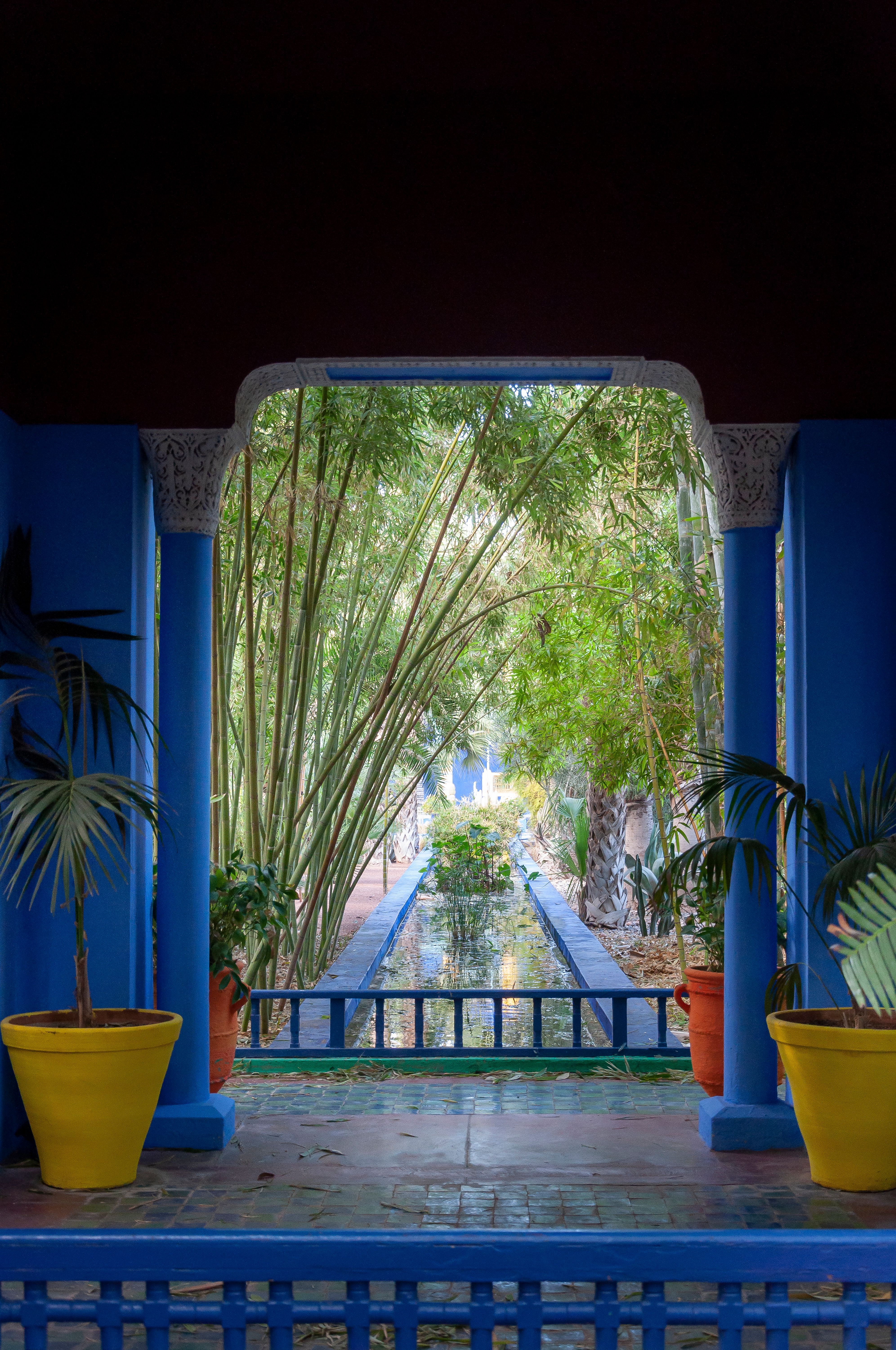 Stone stairs amidst exotic trees in lush garden · Free Stock Photo