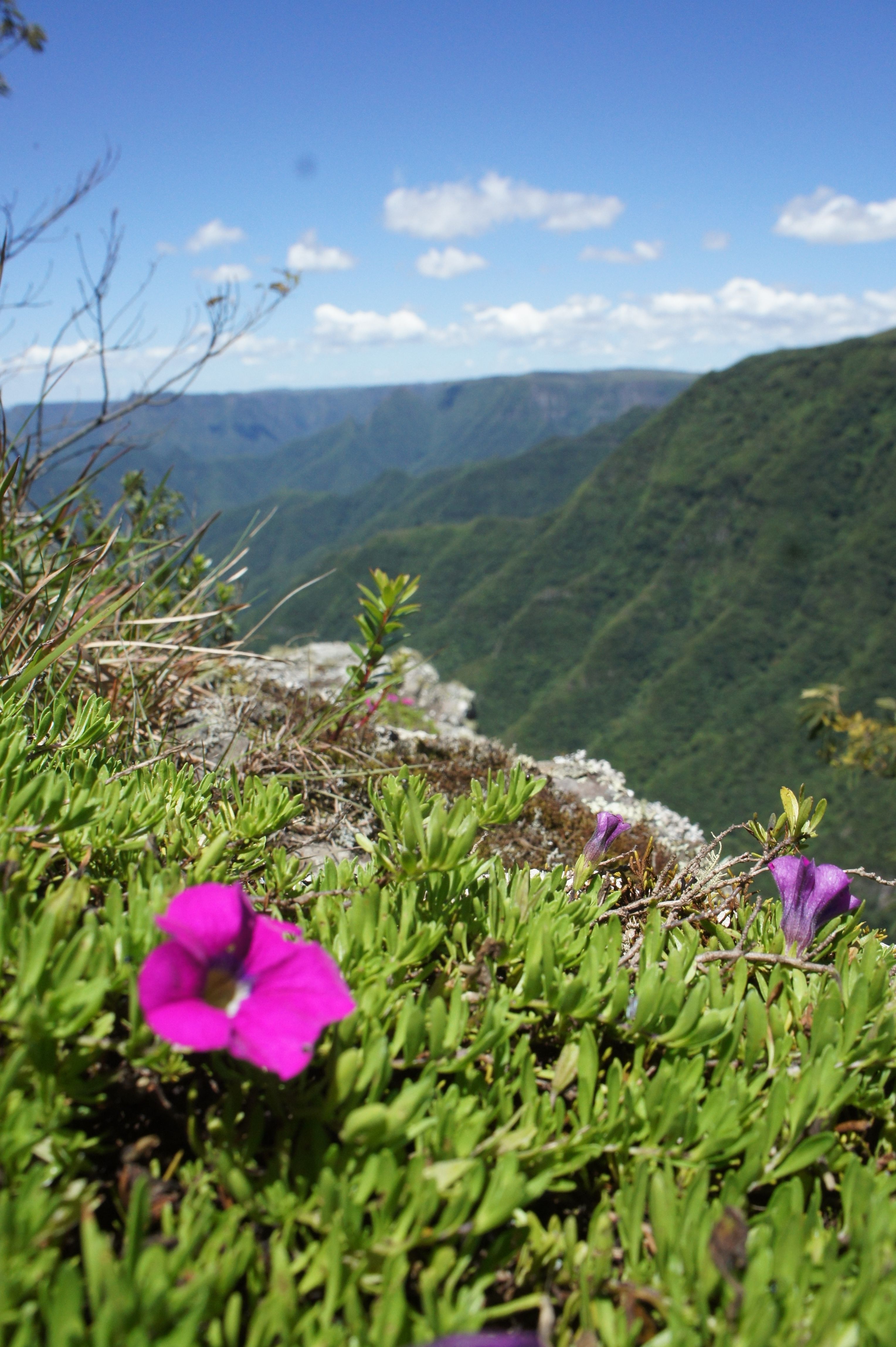 Graziela Moreira - Photography
