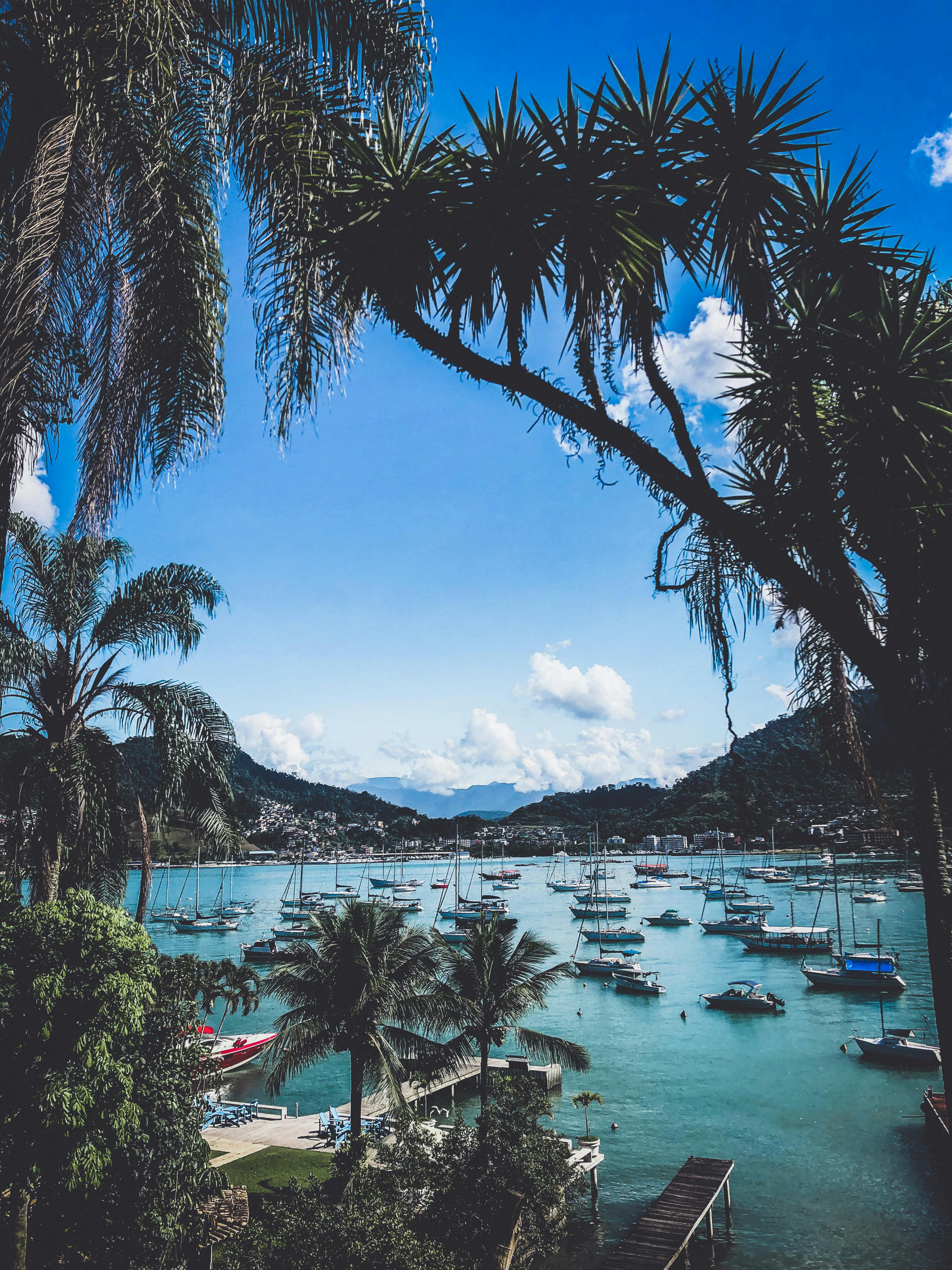 Best Vocation Photos · 100% Free Download · Pexels Stock Photos