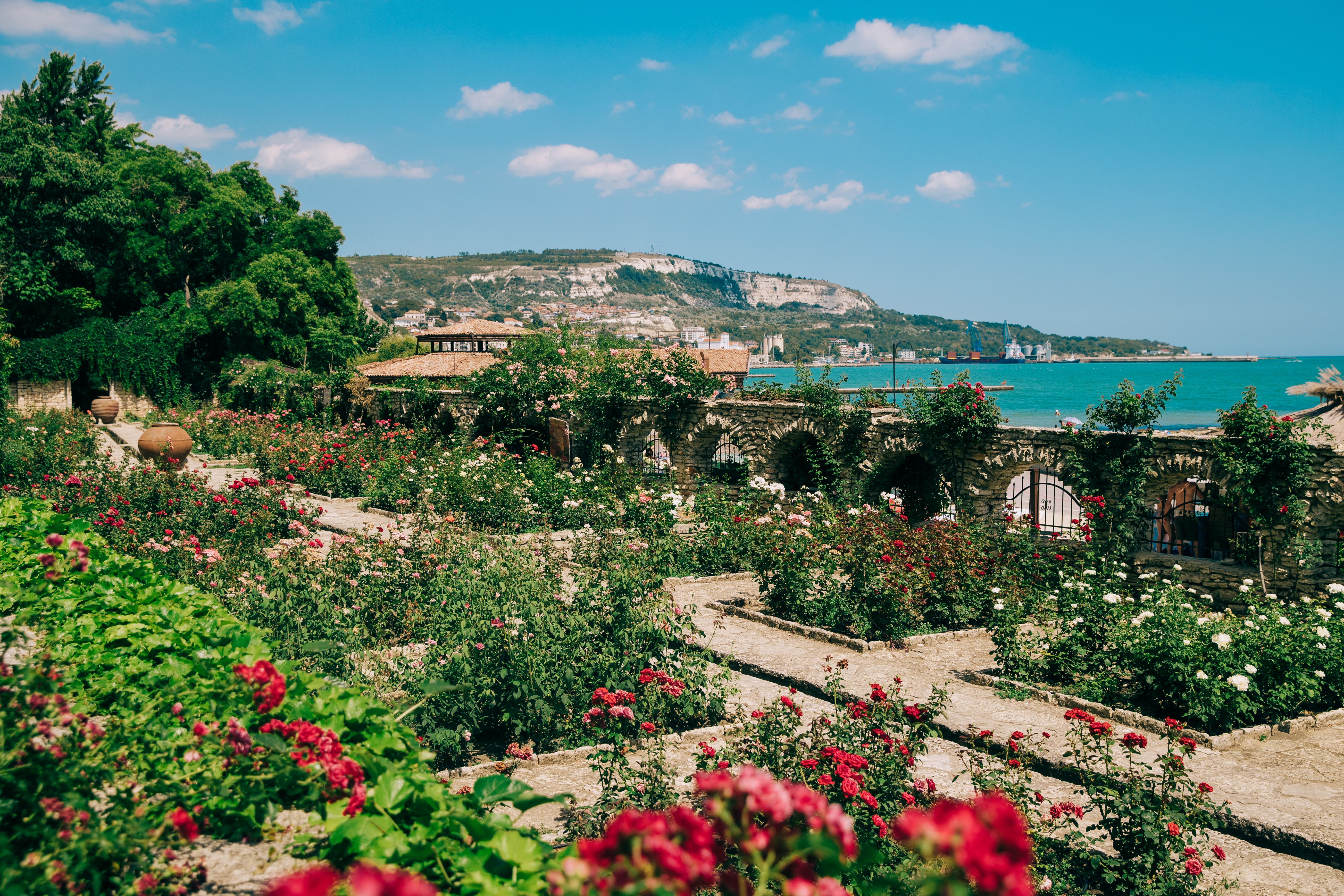 Blooming Flowers in Garden Waterfront View · Free Stock Photo