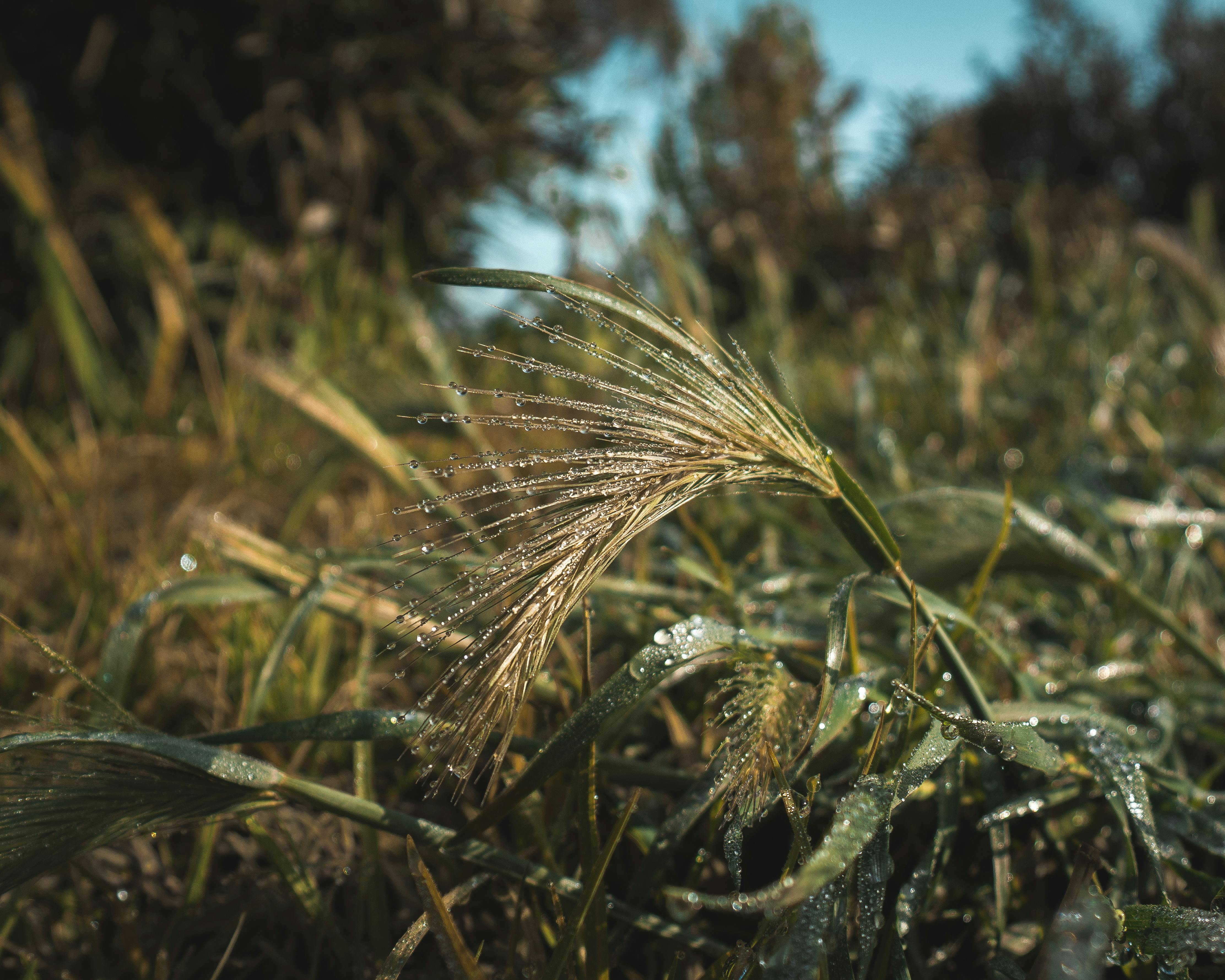 David Rojas - Fotografía