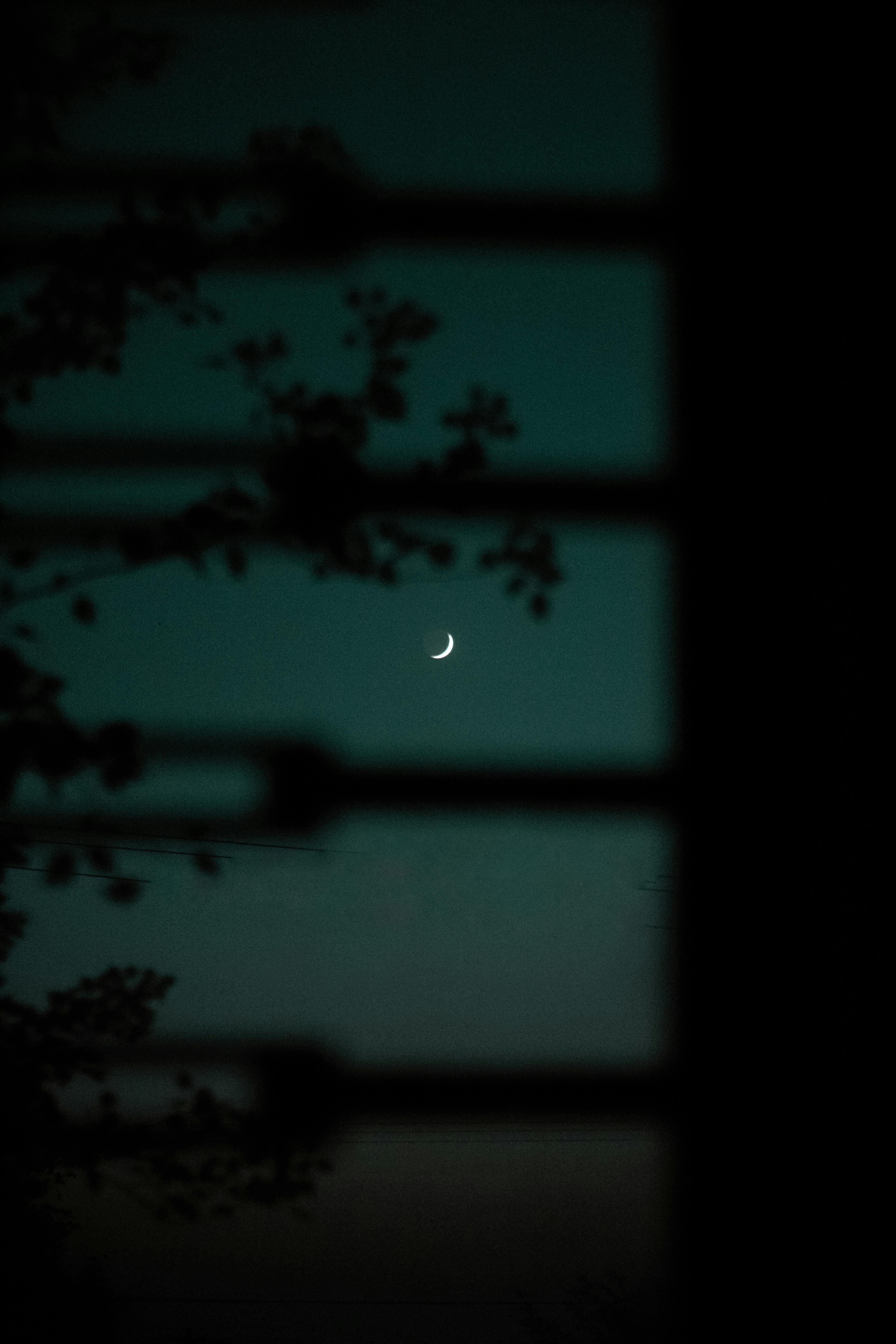 Crescent Moon on the Night Sky · Free Stock Photo