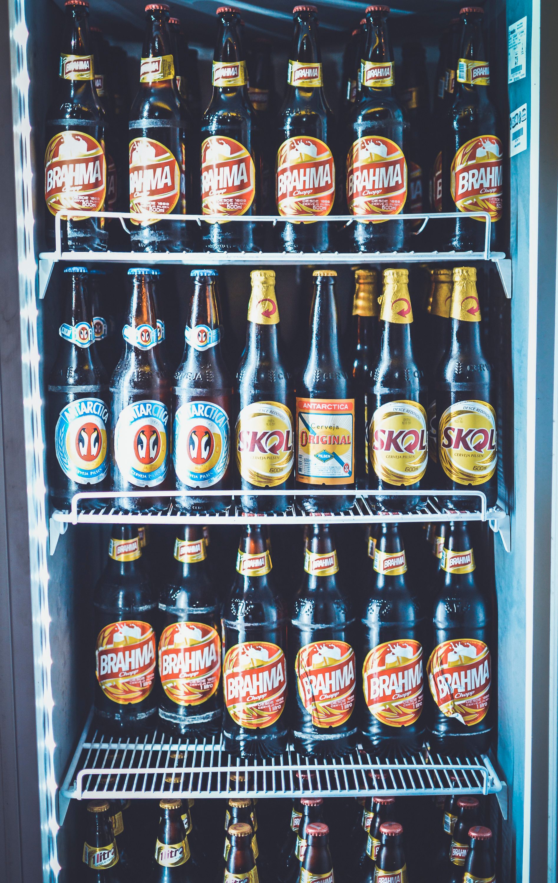 free-stock-photo-of-bar-beer-beers