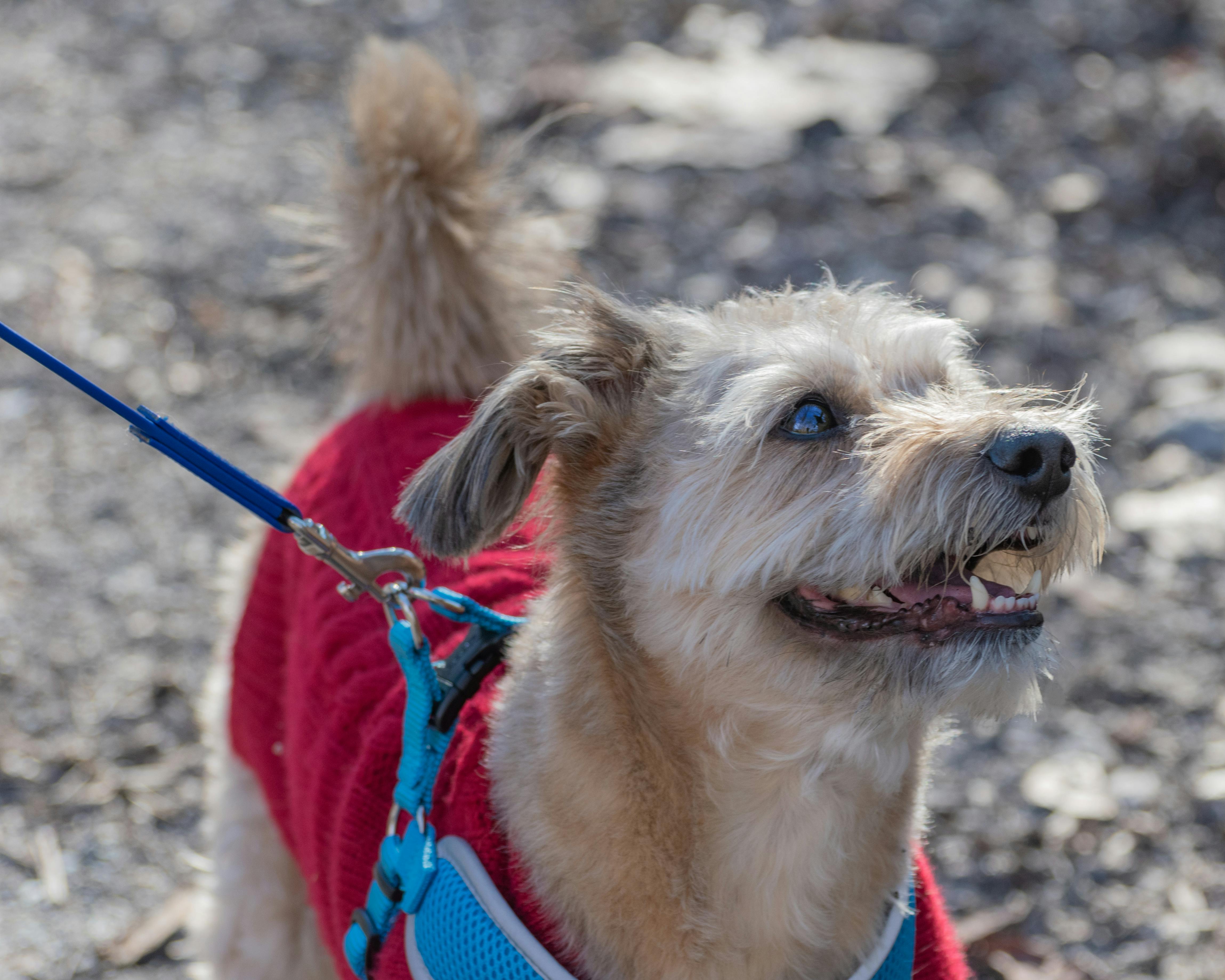 Drew Anderson - Photography