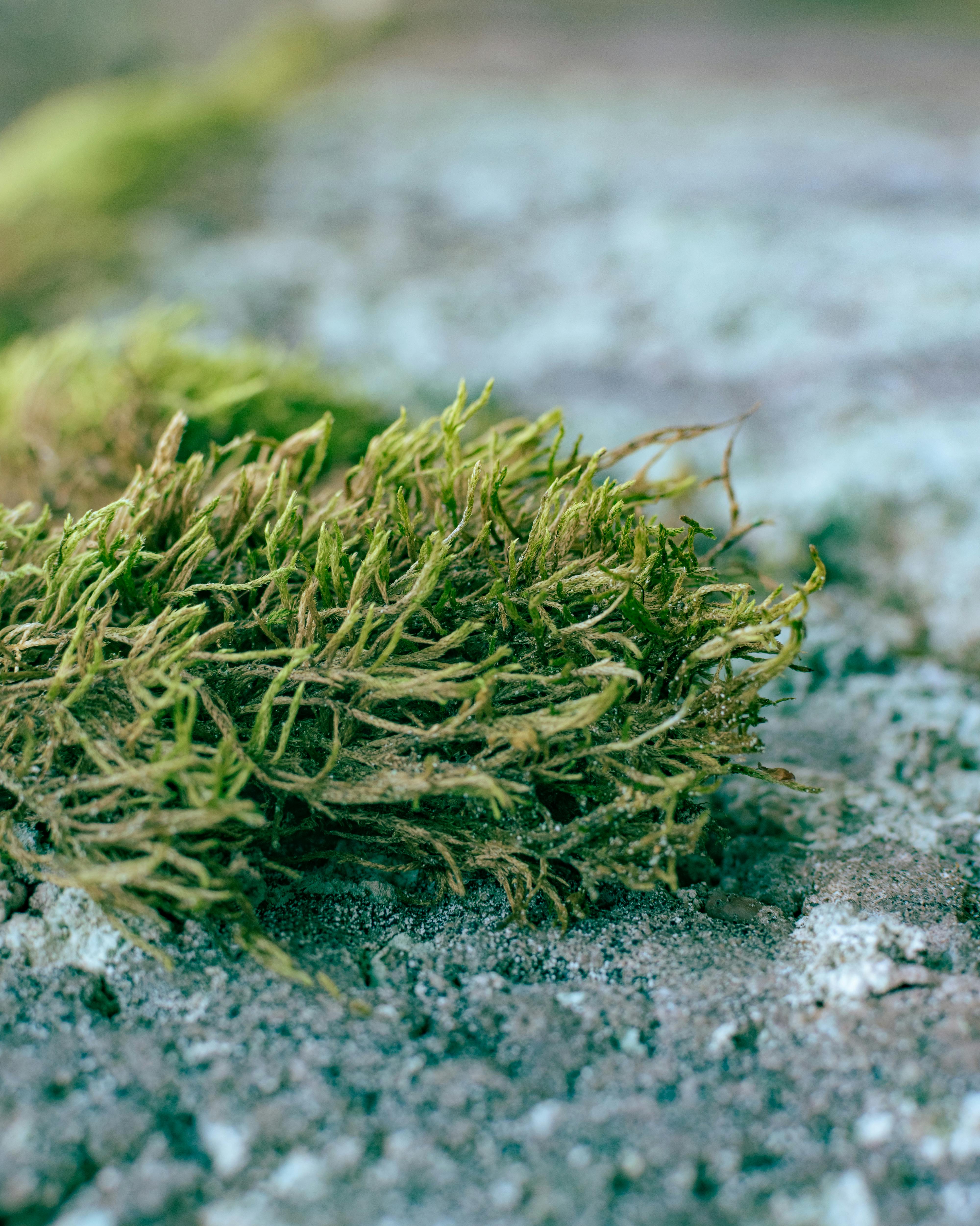 Drew Anderson - Photography