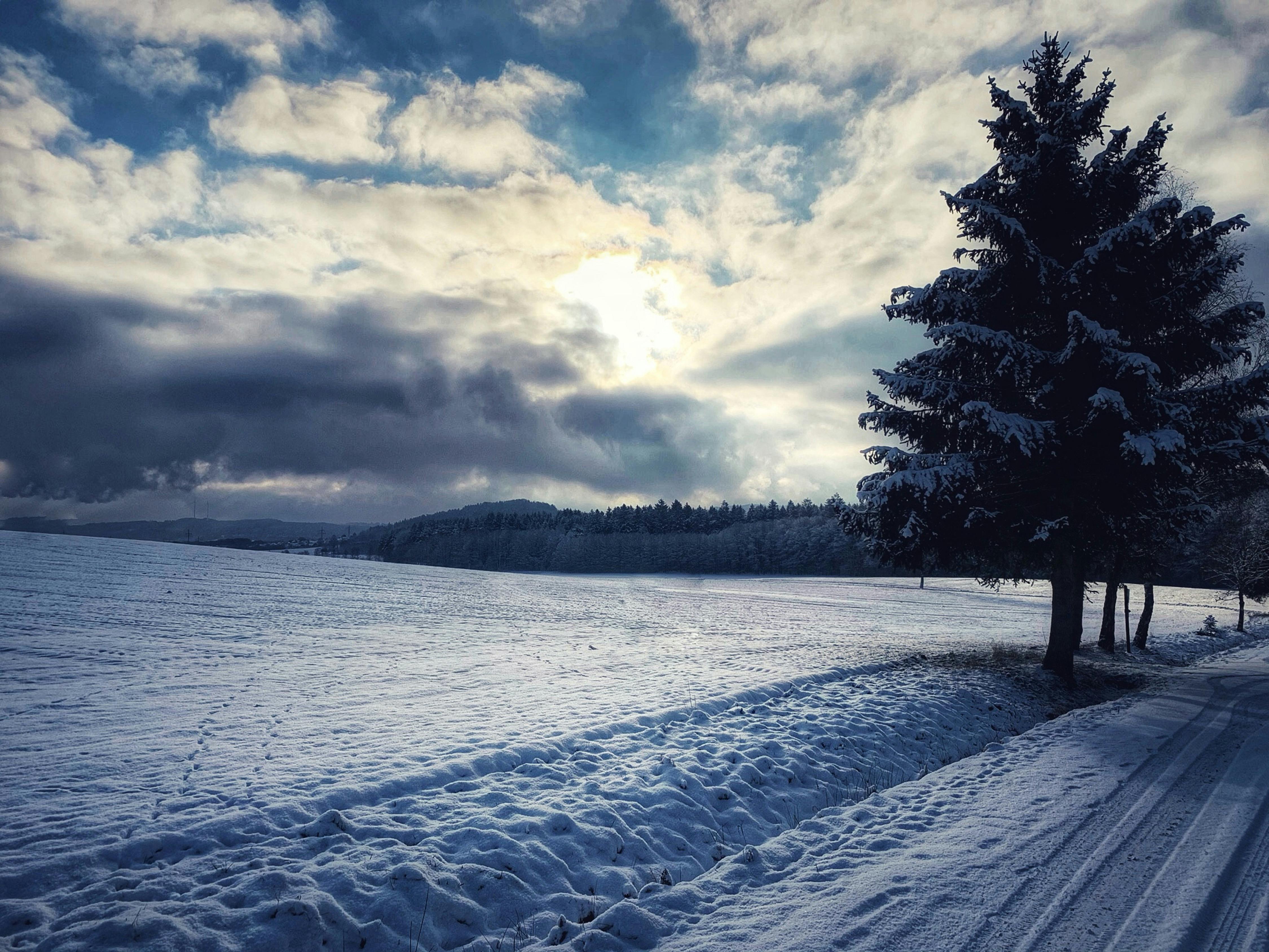 dark background · Pexels