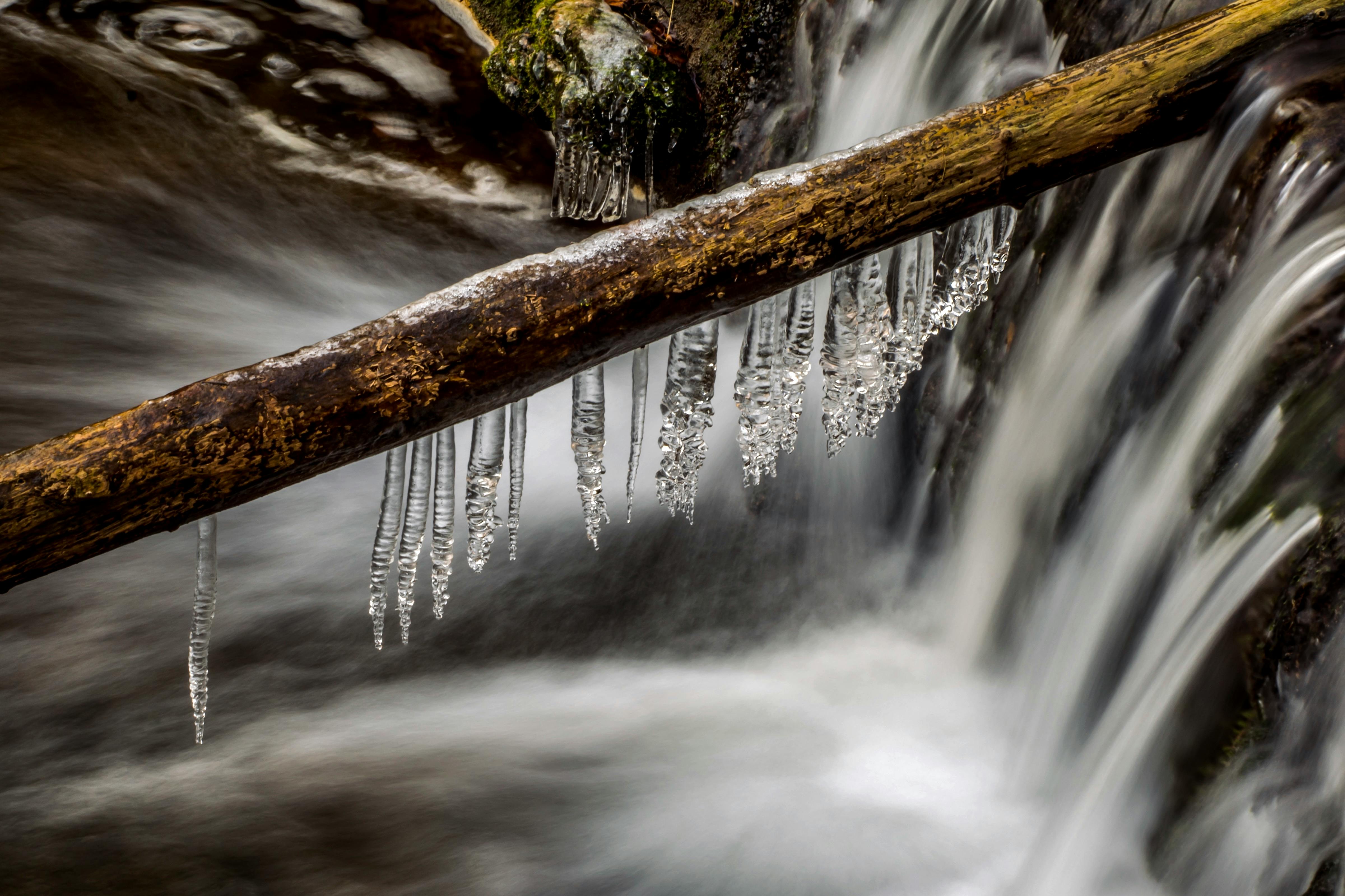 Wet stick with icicles before huge waterfall · Free Stock Photo