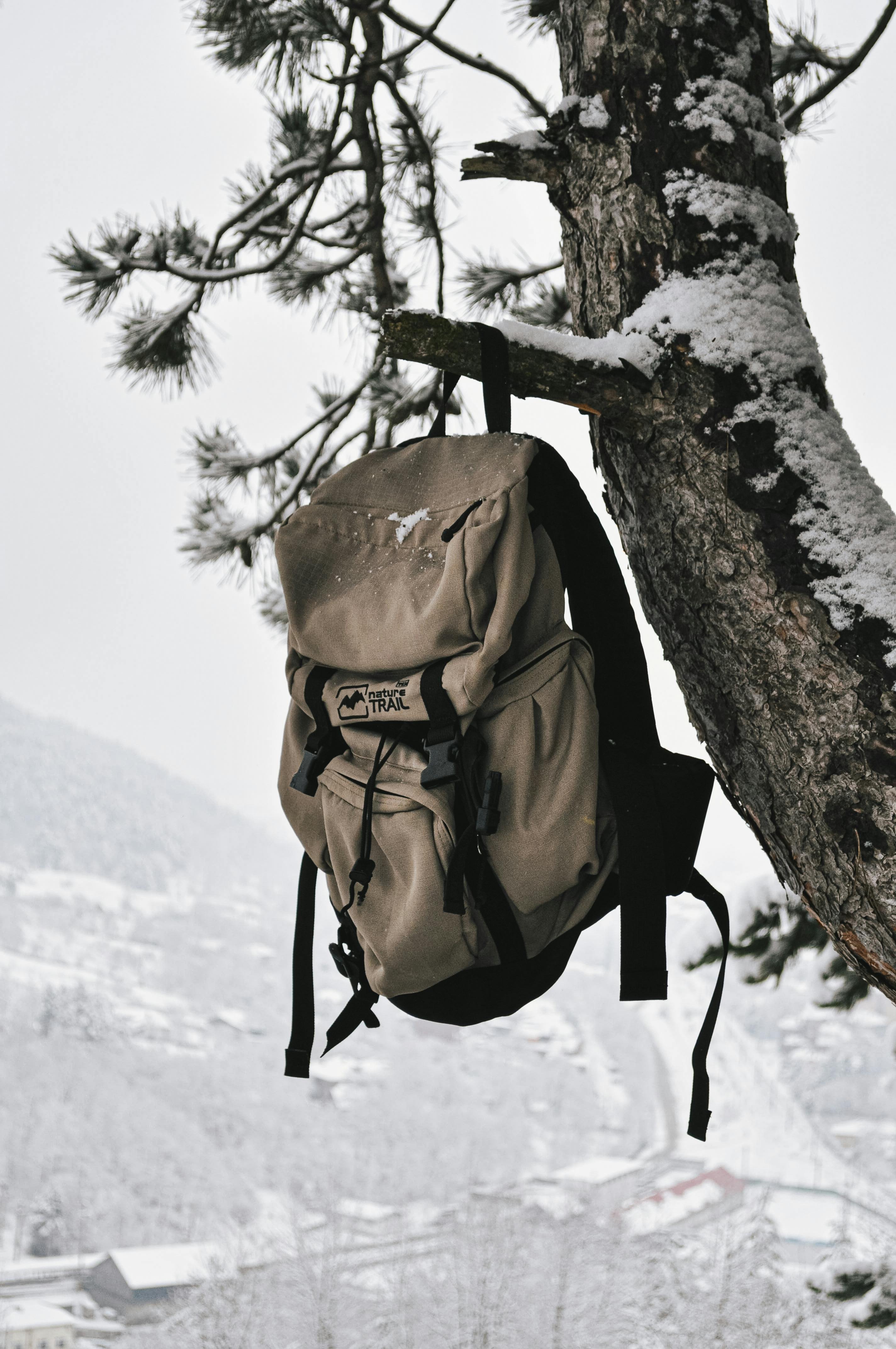 Brown Backpack Hanging on a Tree · Free Stock Photo