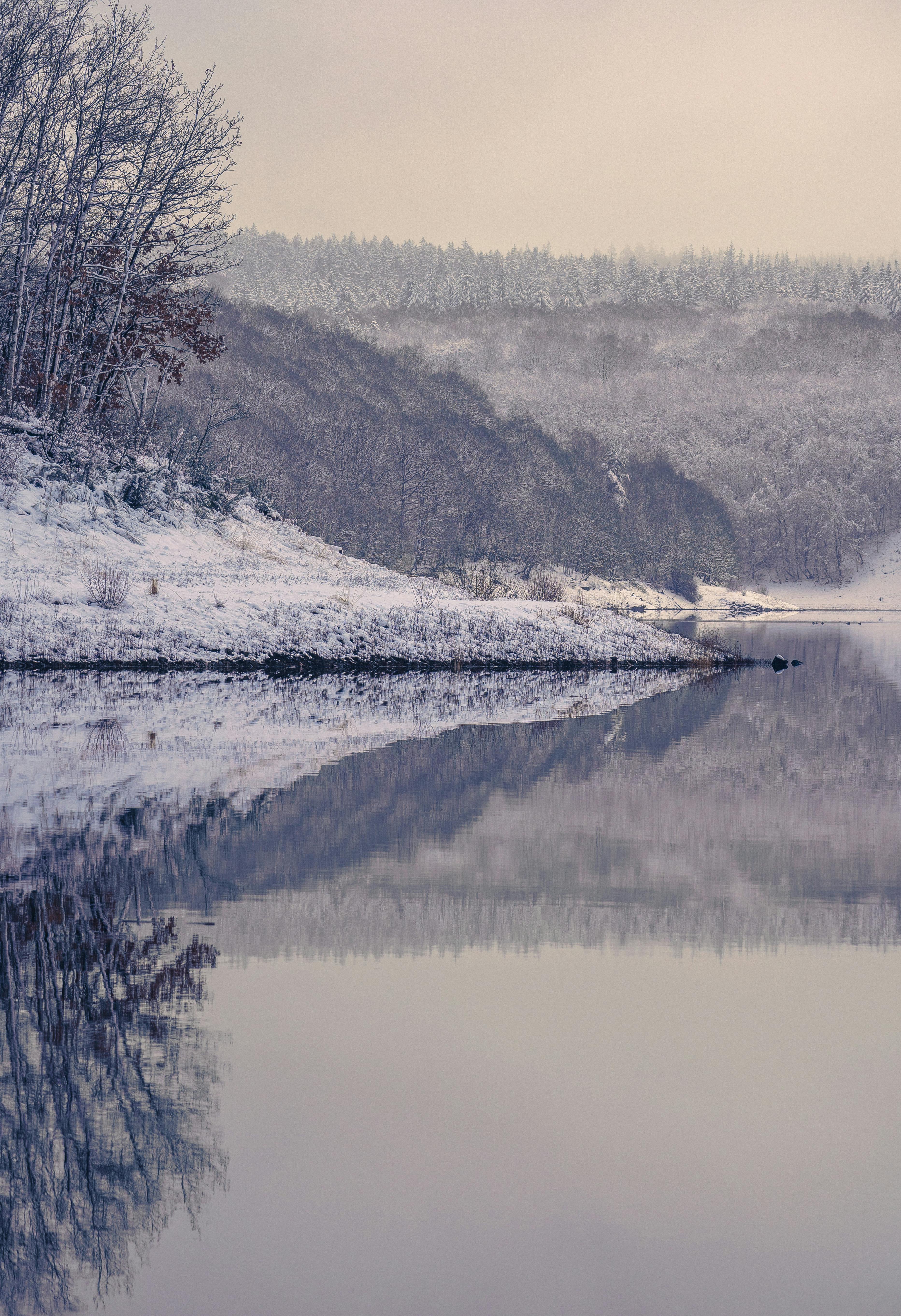 Body of Water Near Trees on Snow · Free Stock Photo