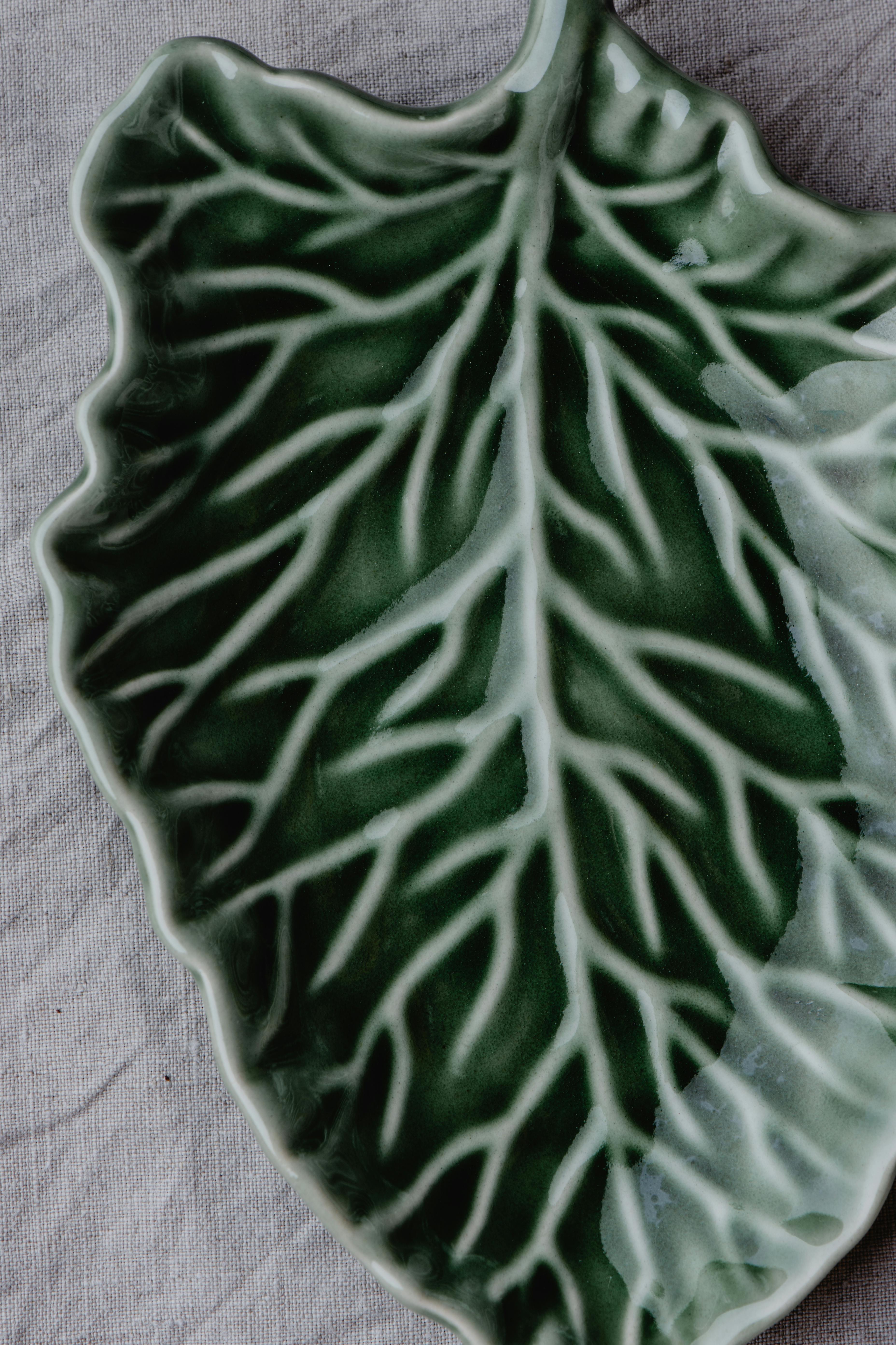 Ceramic Leaf Shaped Platter · Free Stock Photo