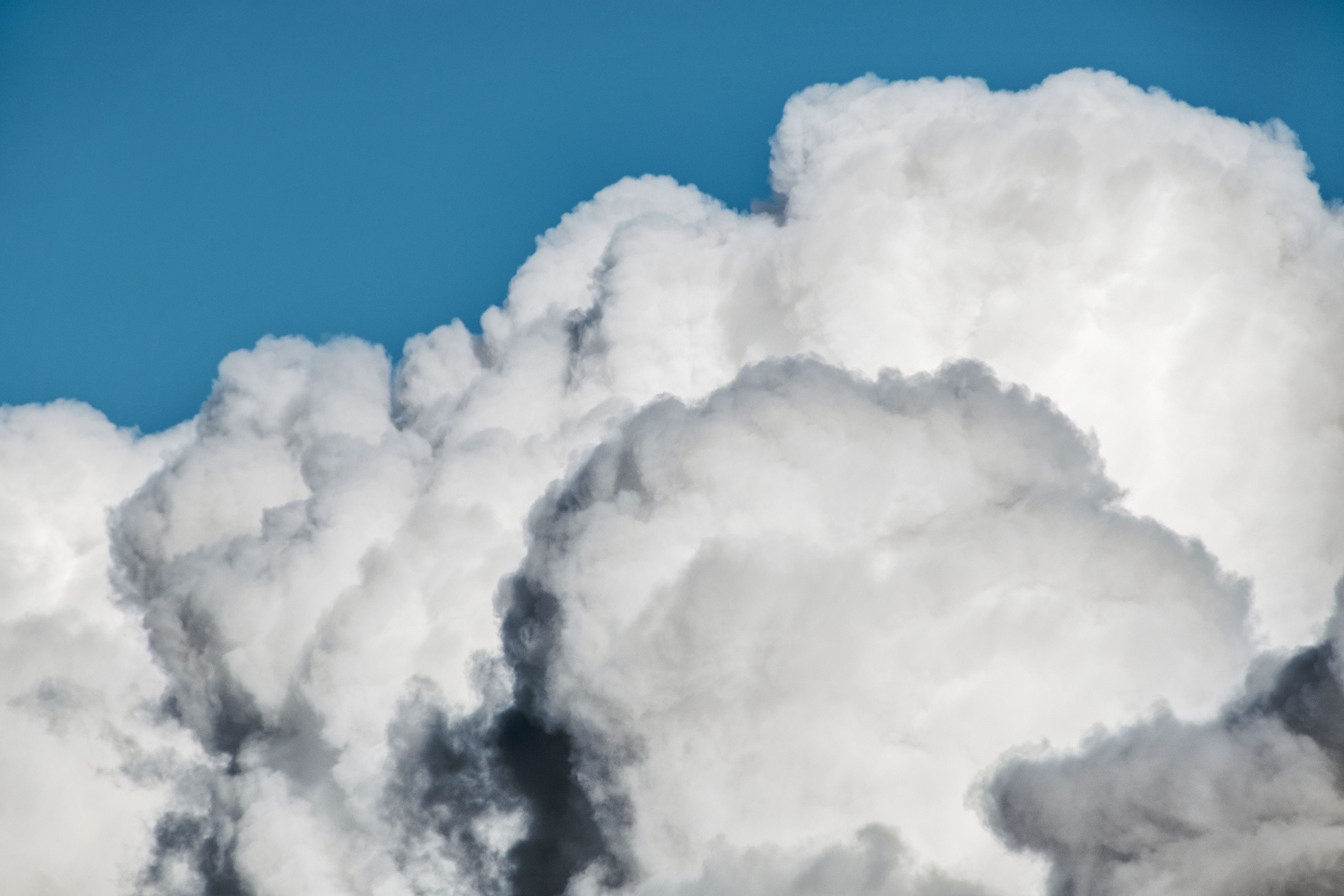 Cumulus Clouds Photos, Download The BEST Free Cumulus Clouds Stock ...