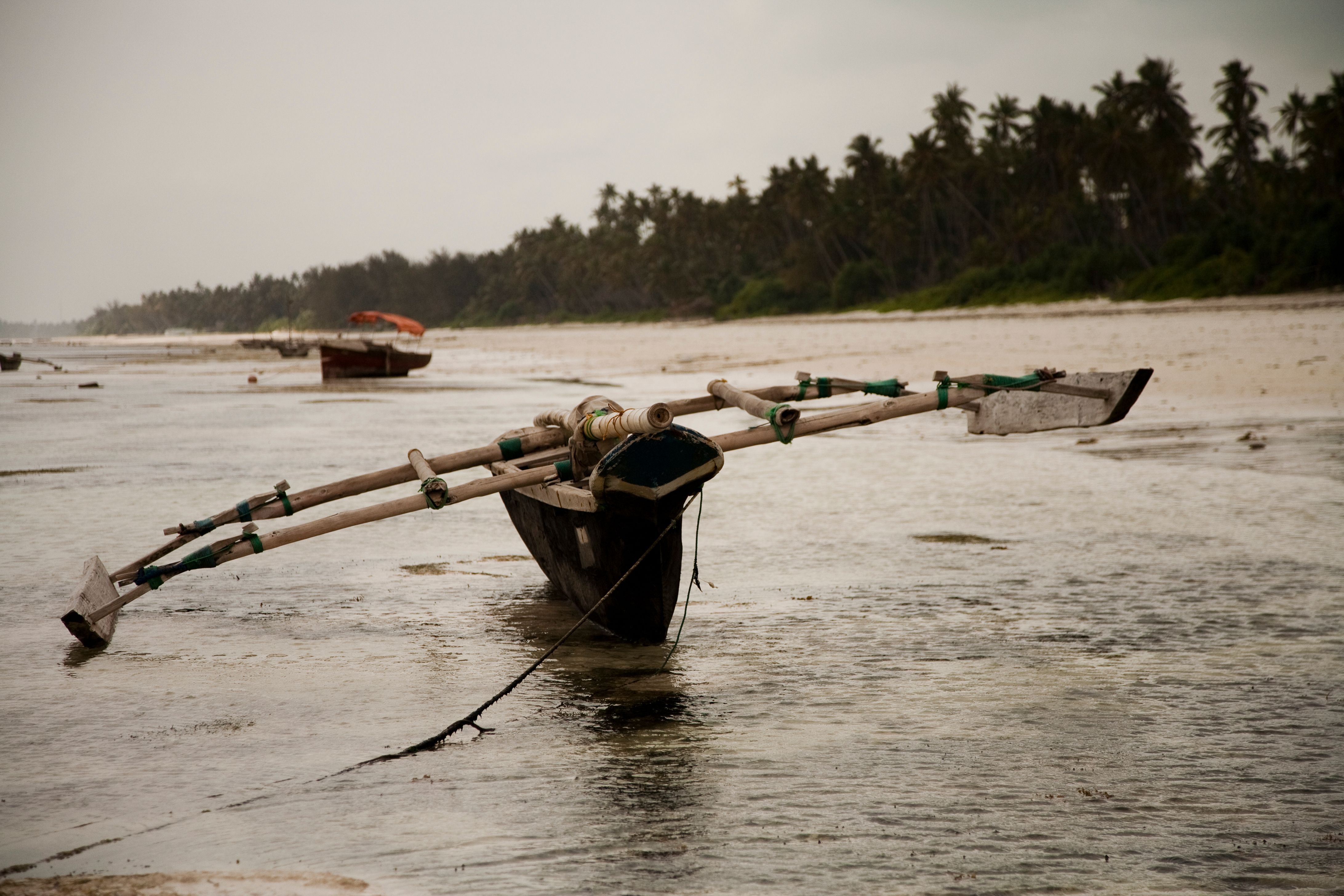 Zanzibar Photos, Download The BEST Free Zanzibar Stock Photos & HD Images