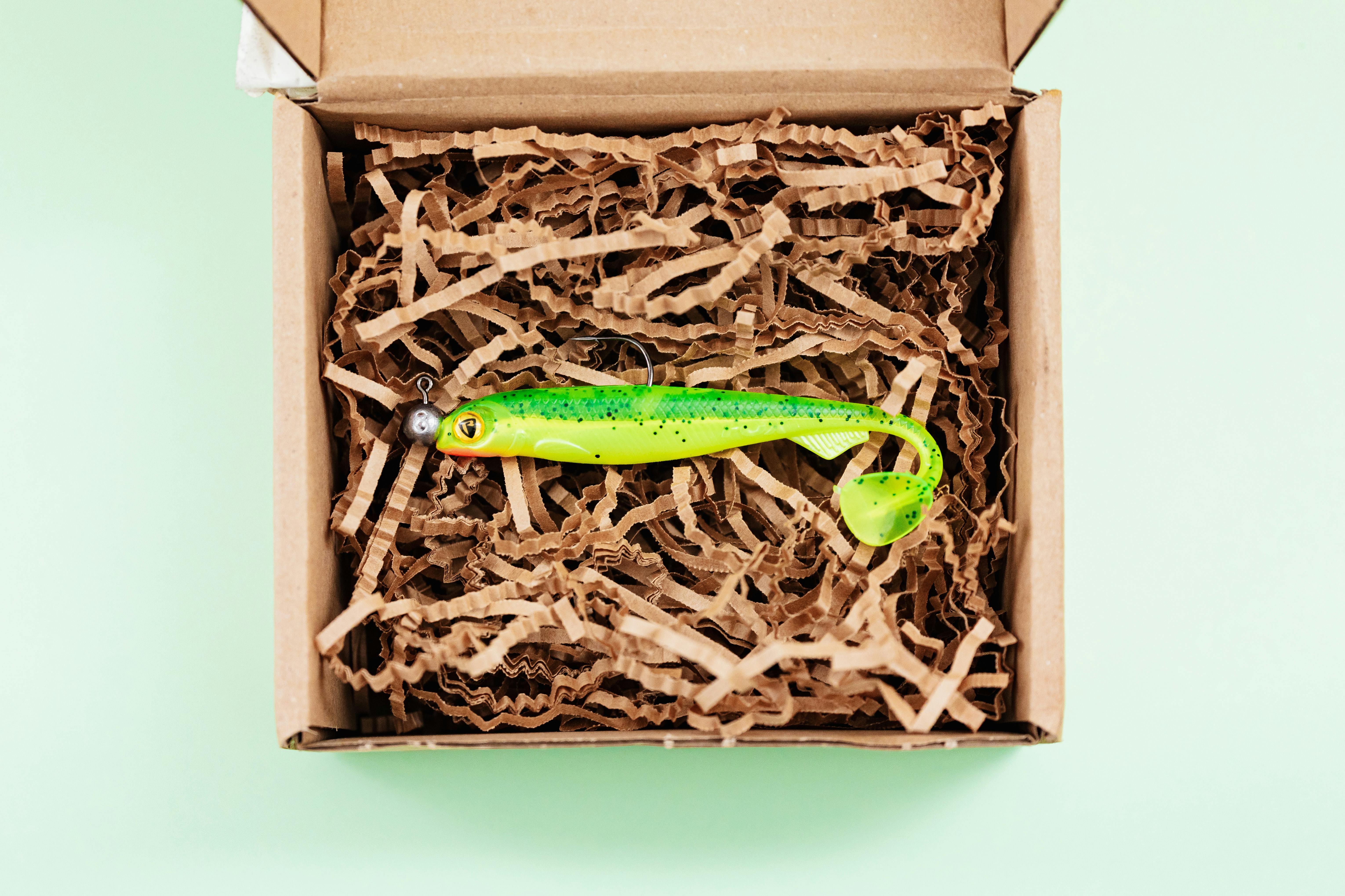 Animal in Box for Fishing · Free Stock Photo