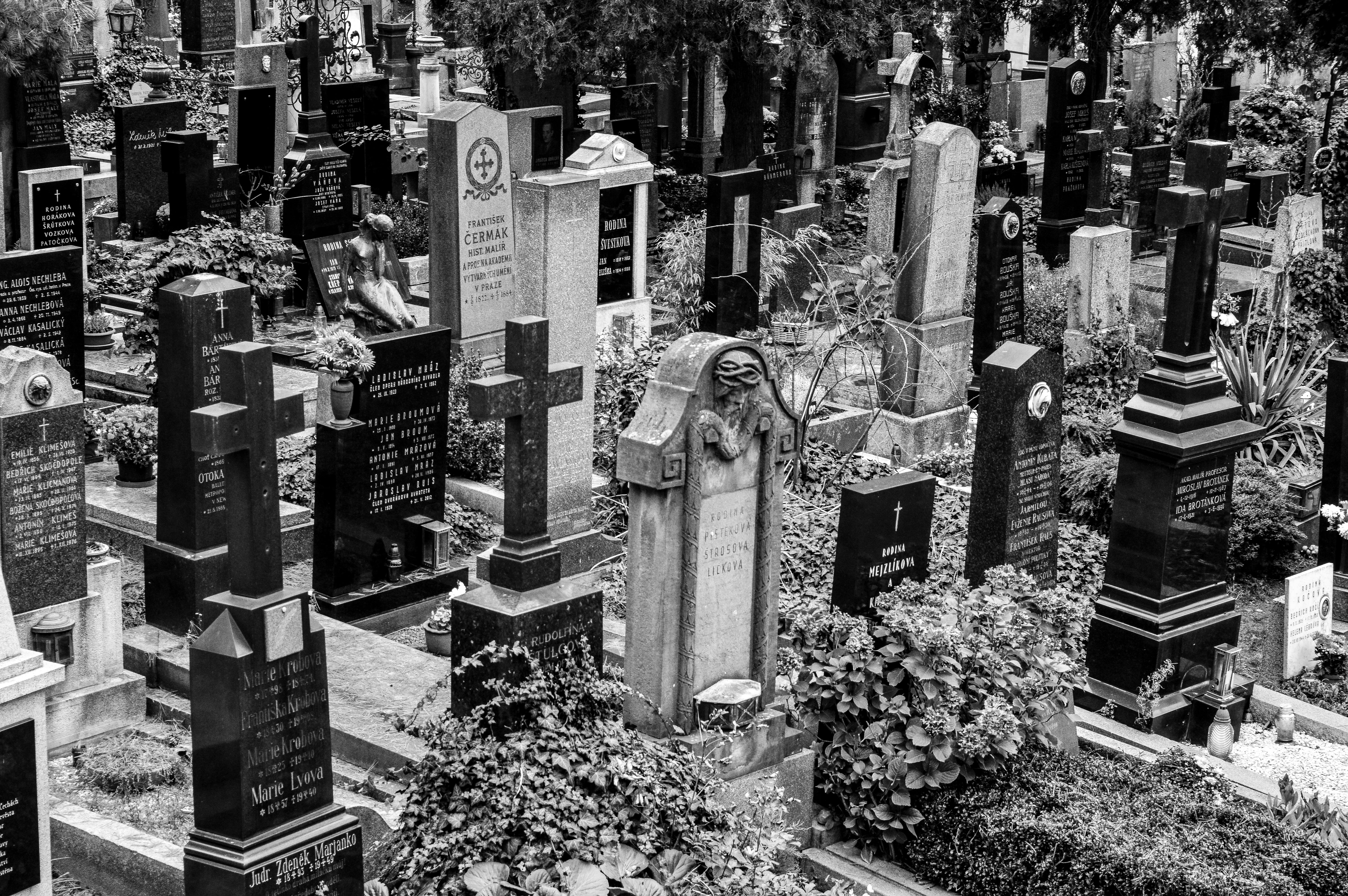 Grayscale Photo of a Cemetery · Free Stock Photo
