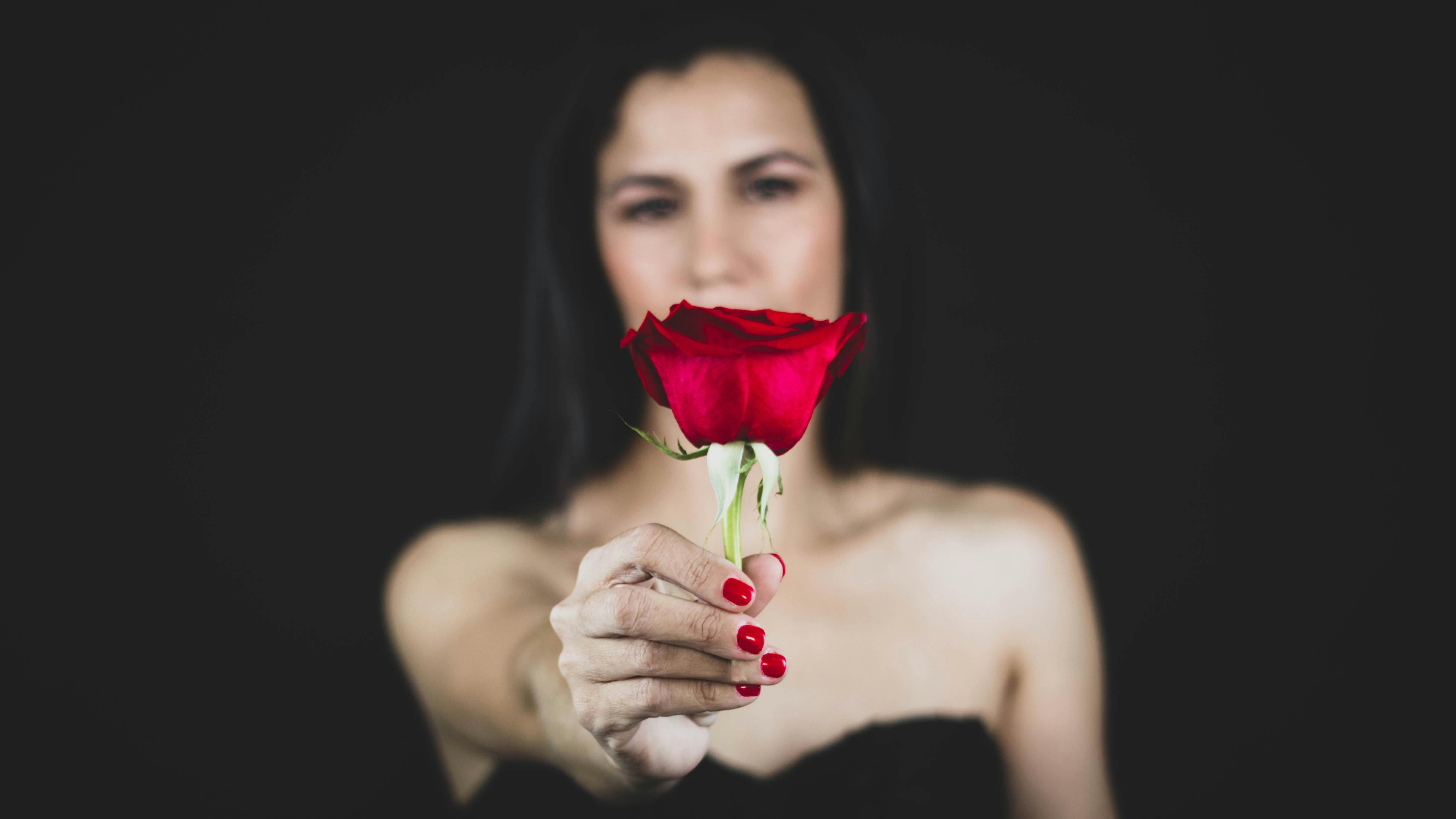 Person Holding Red Rose · Free Stock Photo