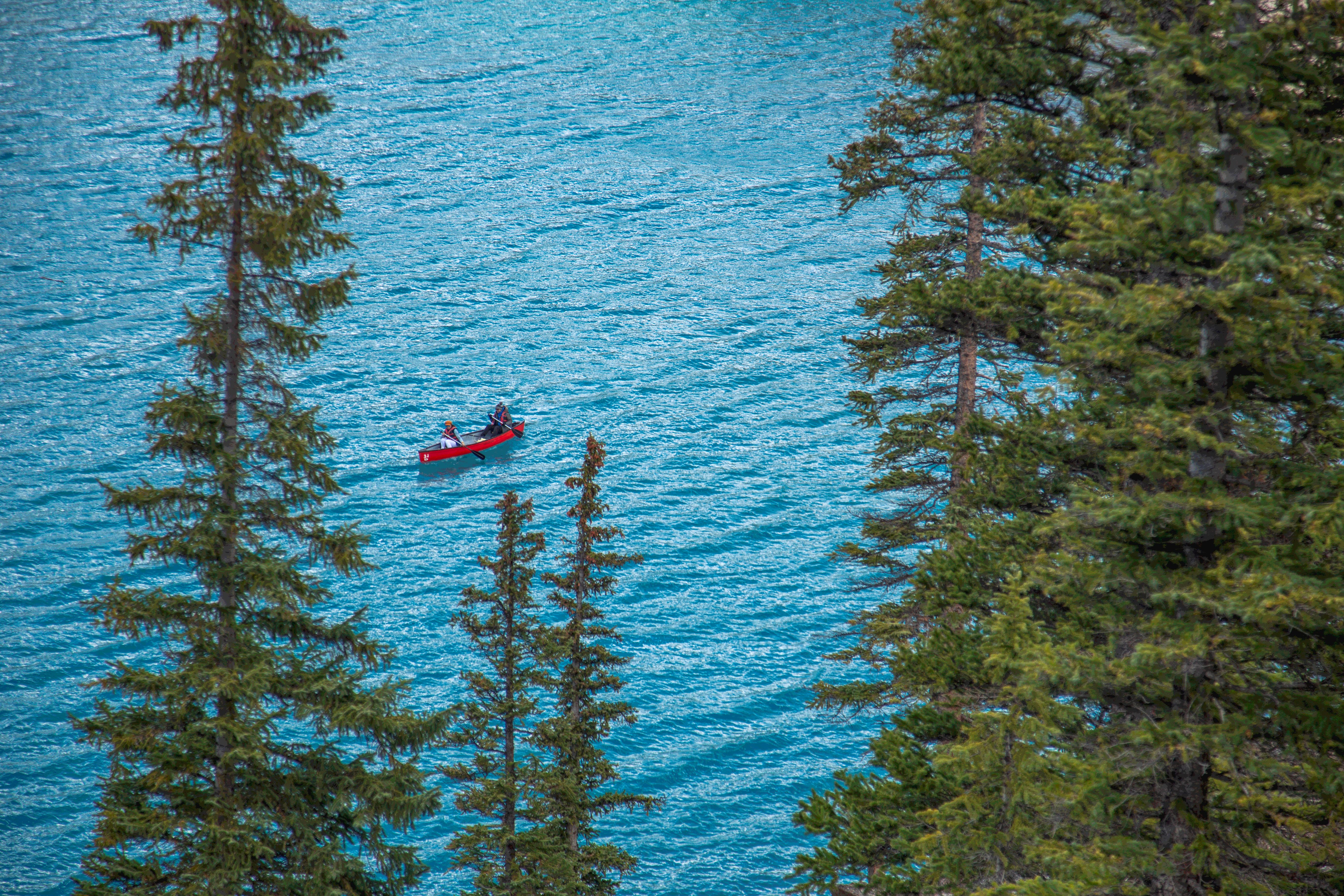 People Riding on a Canoe Sailing on River · Free Stock Photo