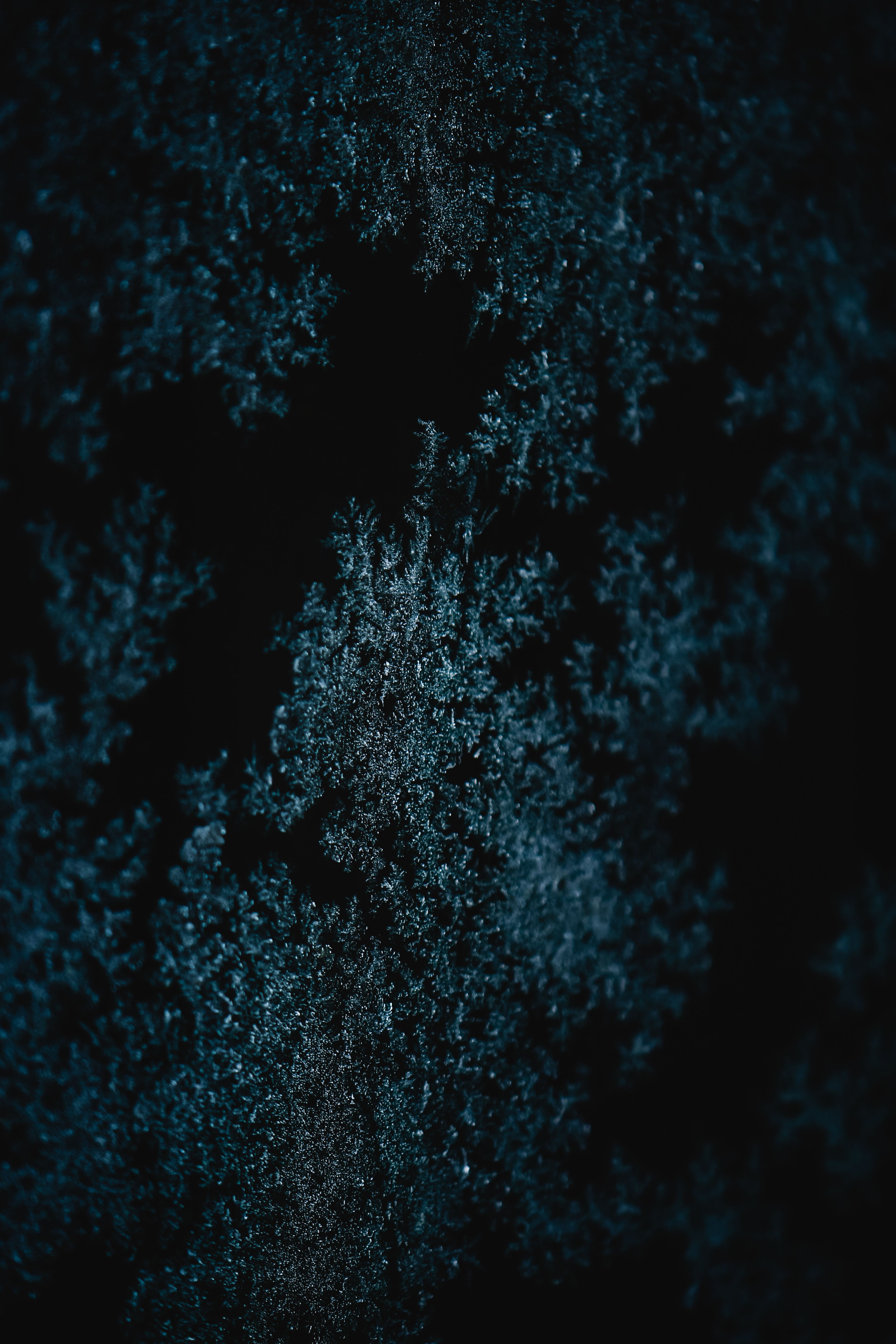Dark Winter Background Photos, Download The BEST Free Dark Winter ...