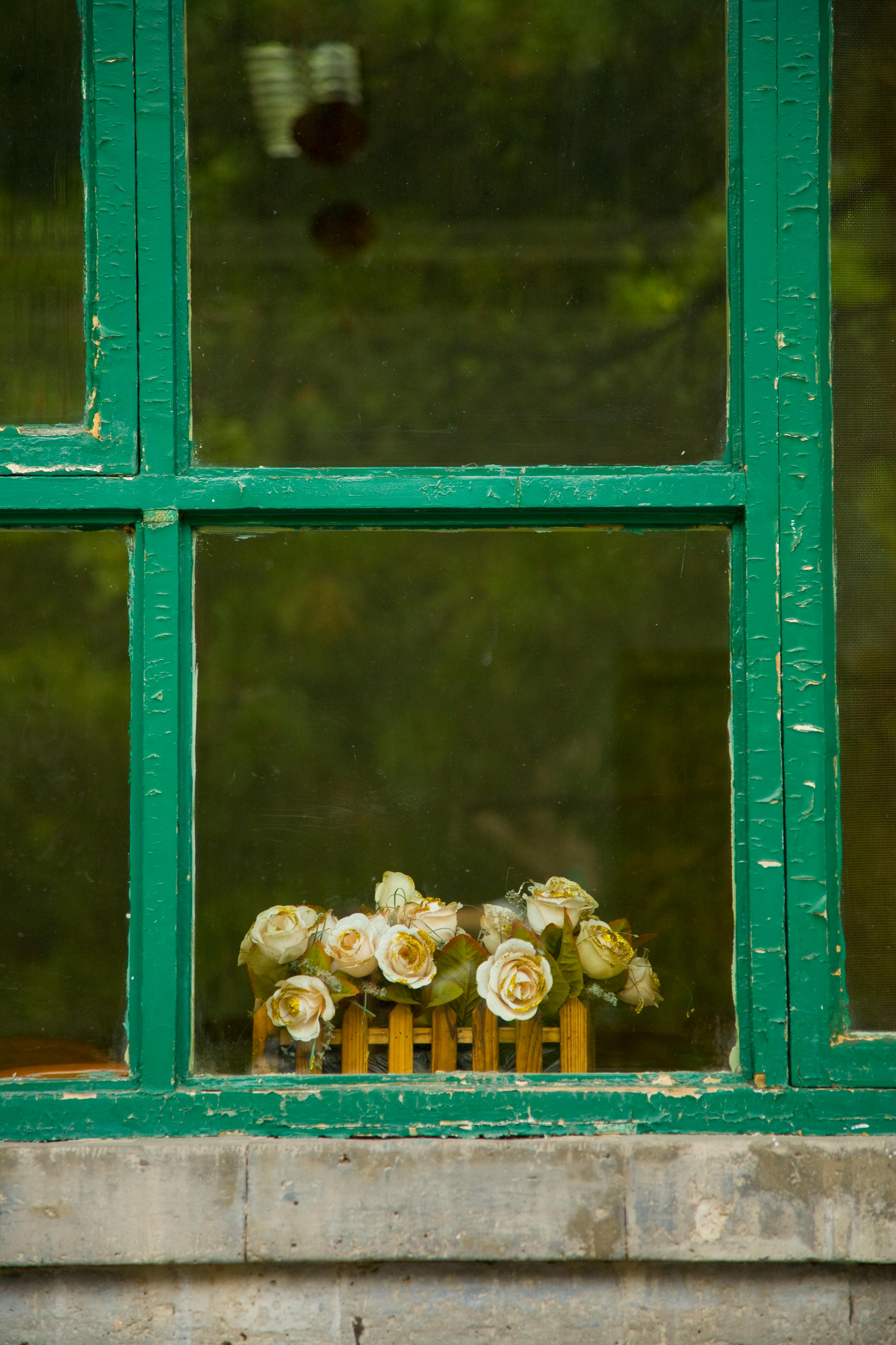 Green and Pink Flower on Green and White Wooden Framed Window · Free ...