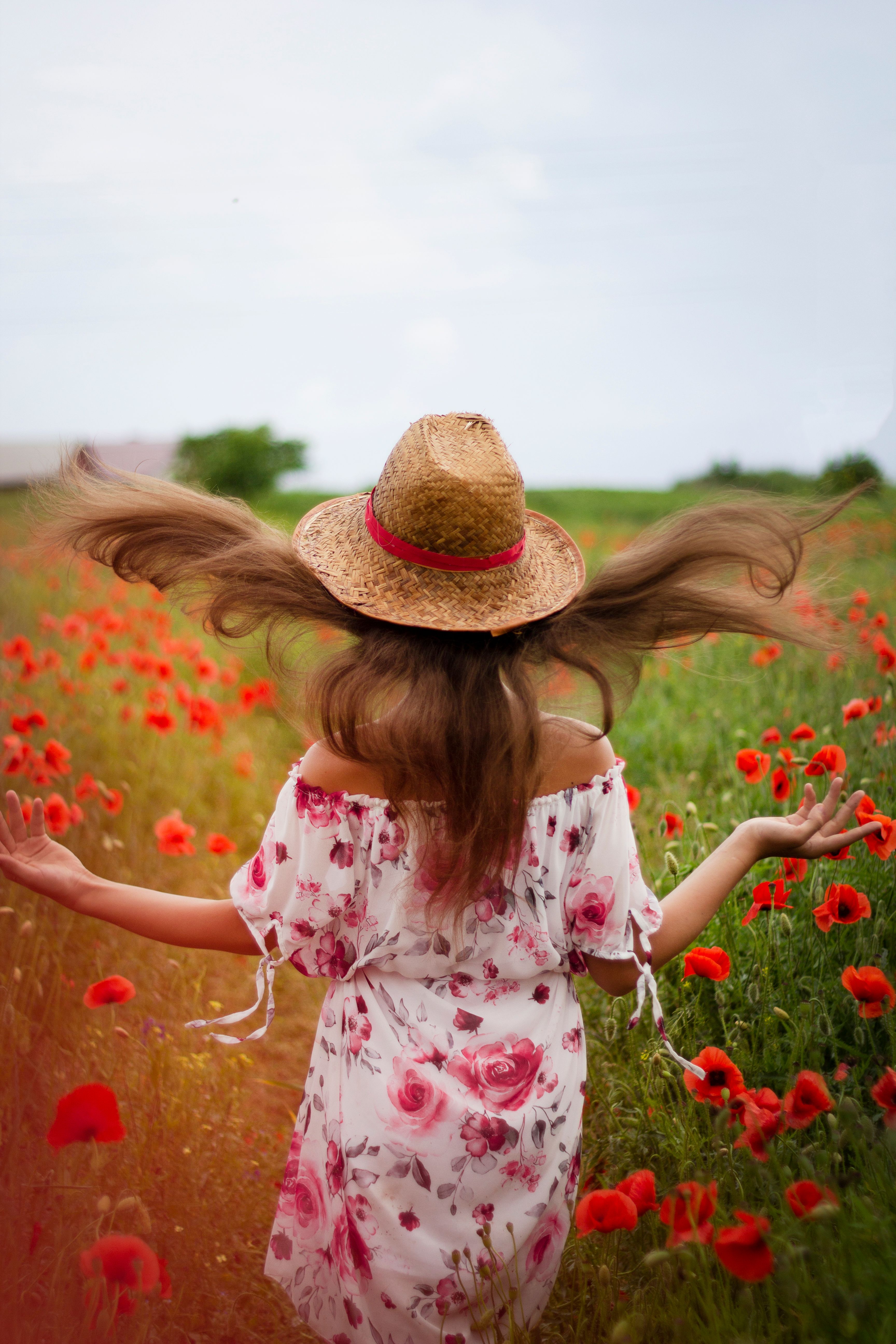 A Back View of a Woman in a Flower Field · Free Stock Photo