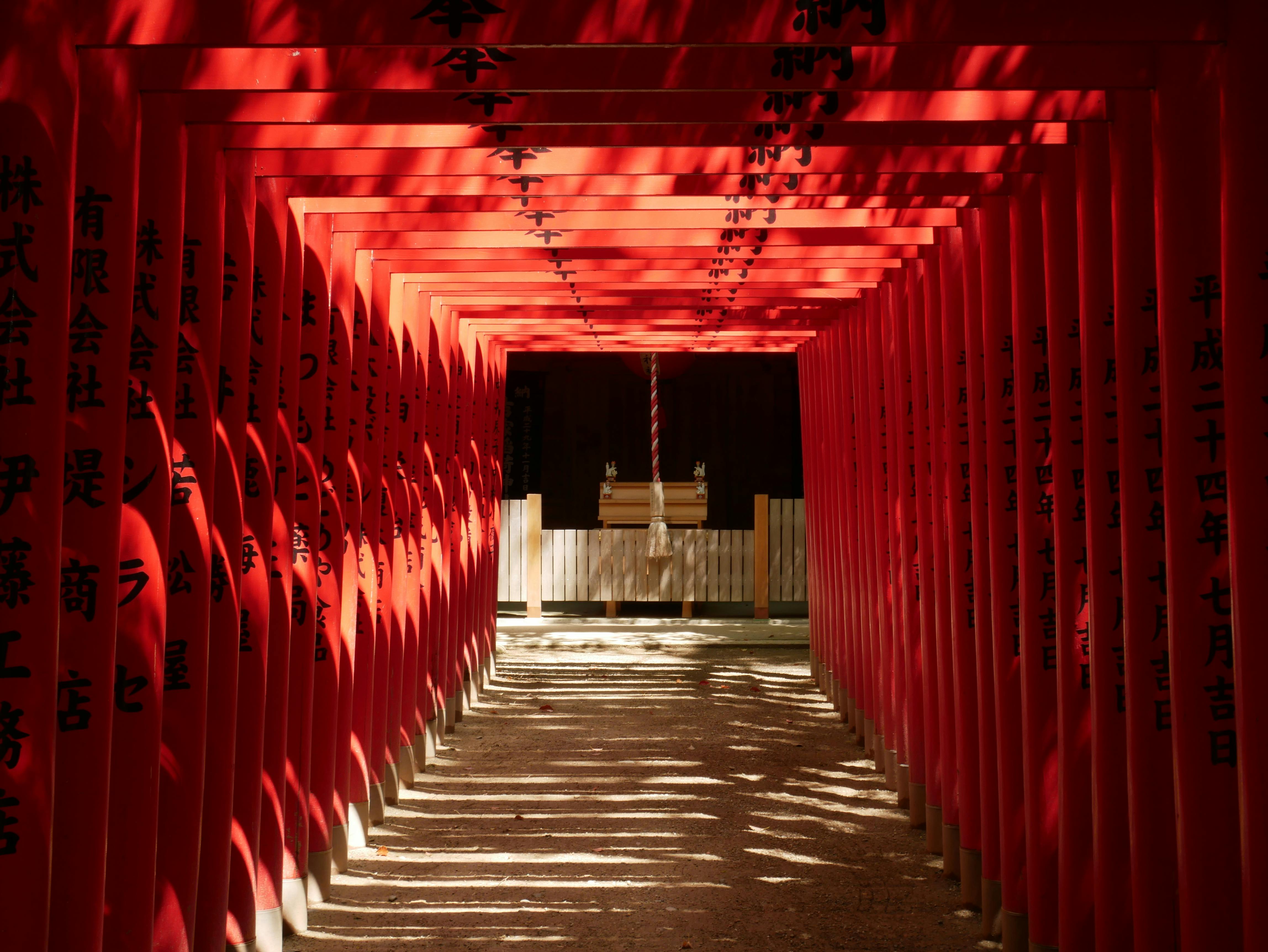 A Red Hallway of a Thousand Torii Gates · Free Stock Photo