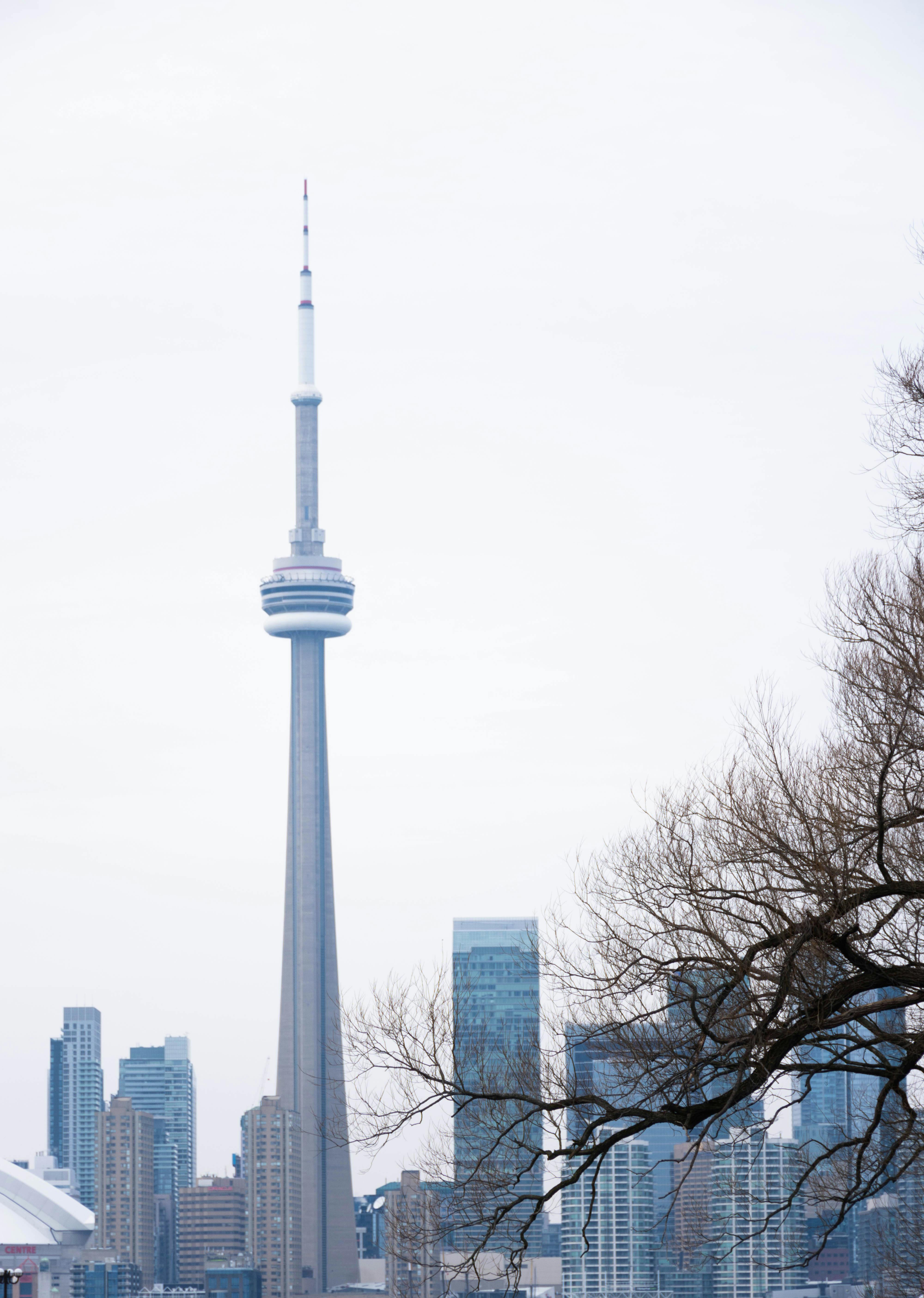 Waterfront Buildings at Night Time · Free Stock Photo