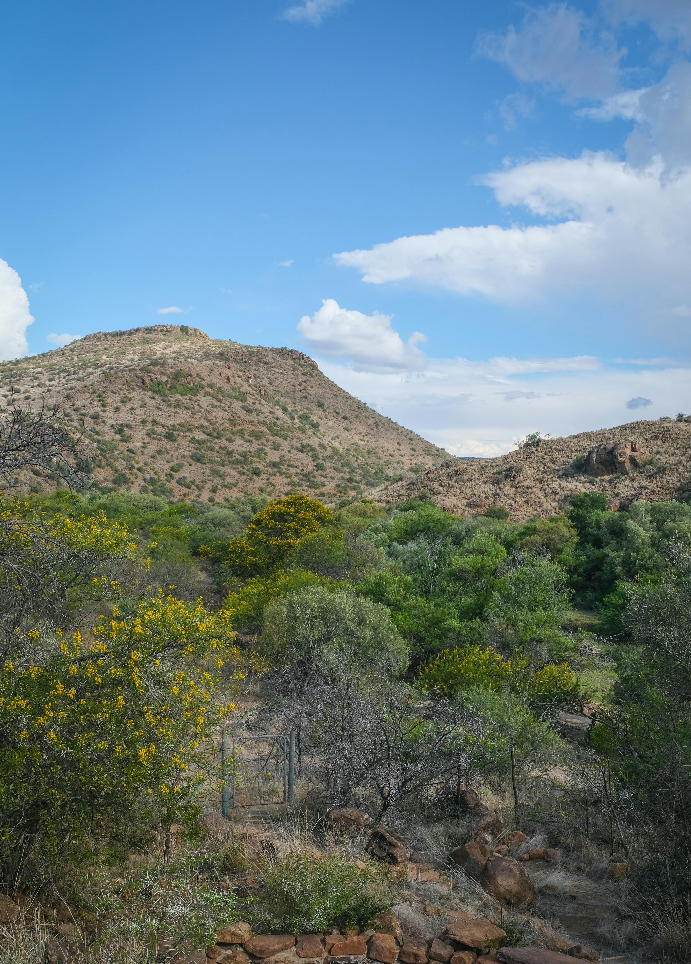 River in Between Mountains · Free Stock Photo