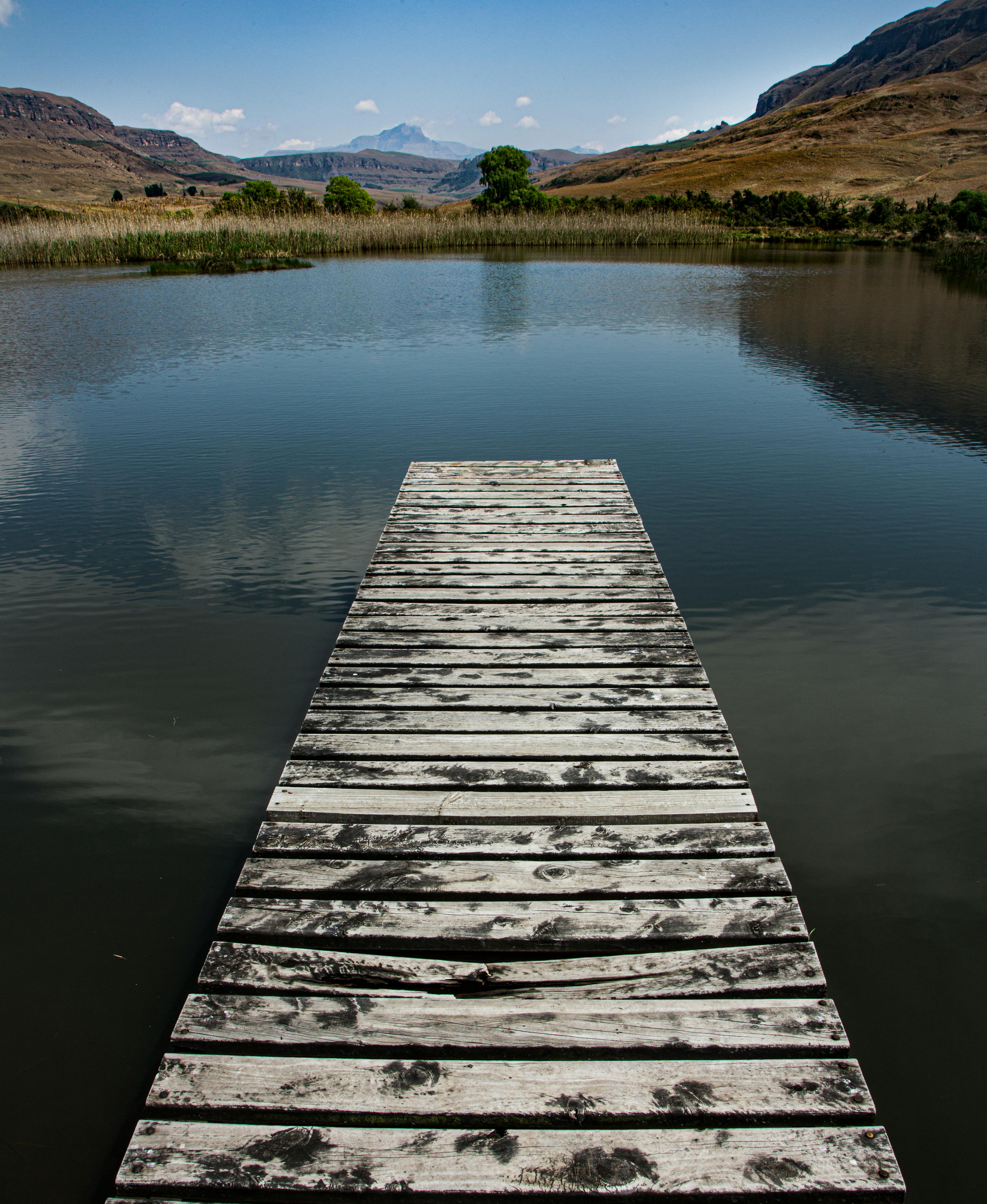 Brown Wooden Dock on Lake · Free Stock Photo
