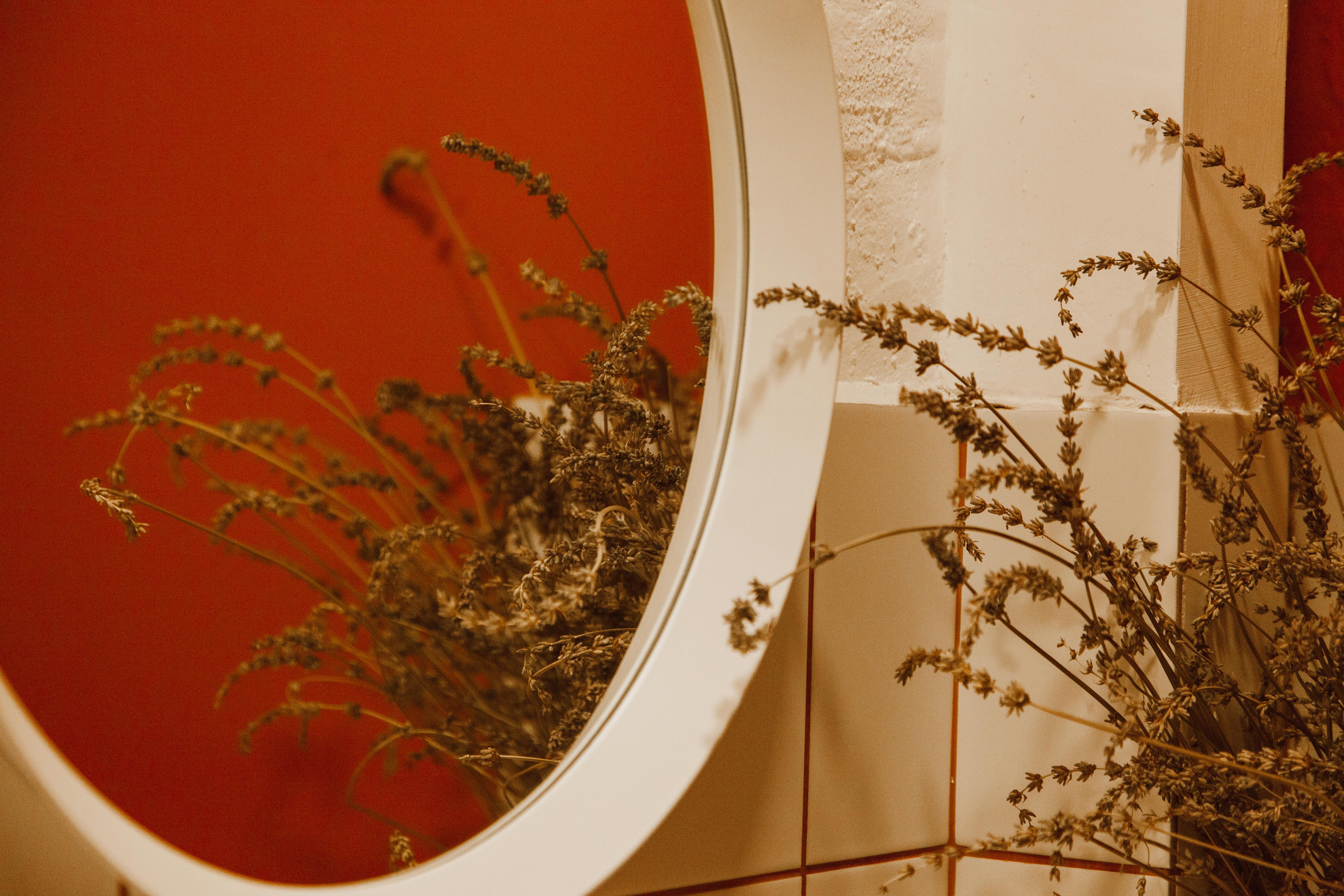 White Petaled Flower Reflection From Small Round Mirror · Free Stock Photo