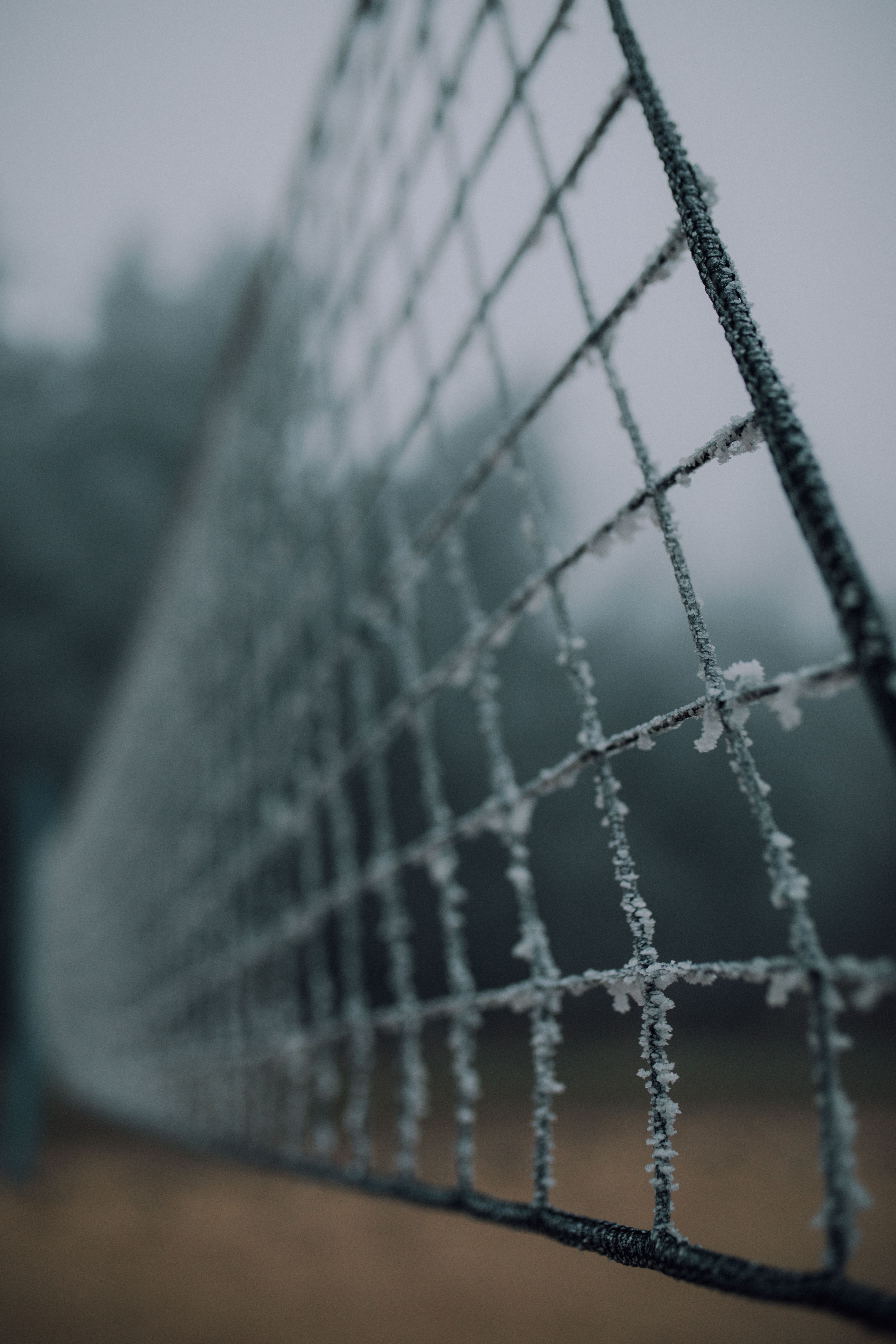 Frozen Mesh Photos, Download The BEST Free Frozen Mesh Stock Photos ...