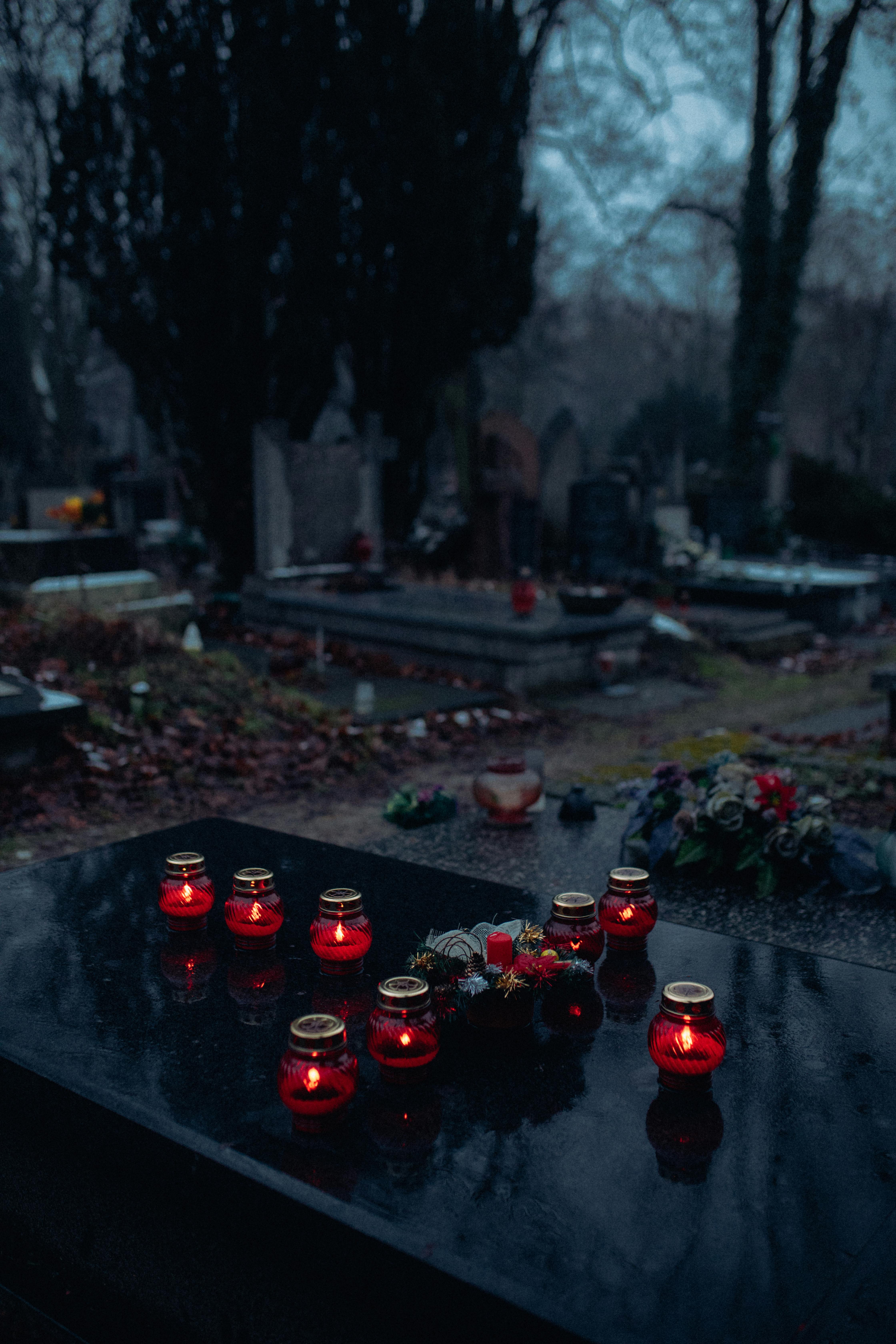 400+ Best Rip Photos · 100% Free Download · Pexels Stock Photos