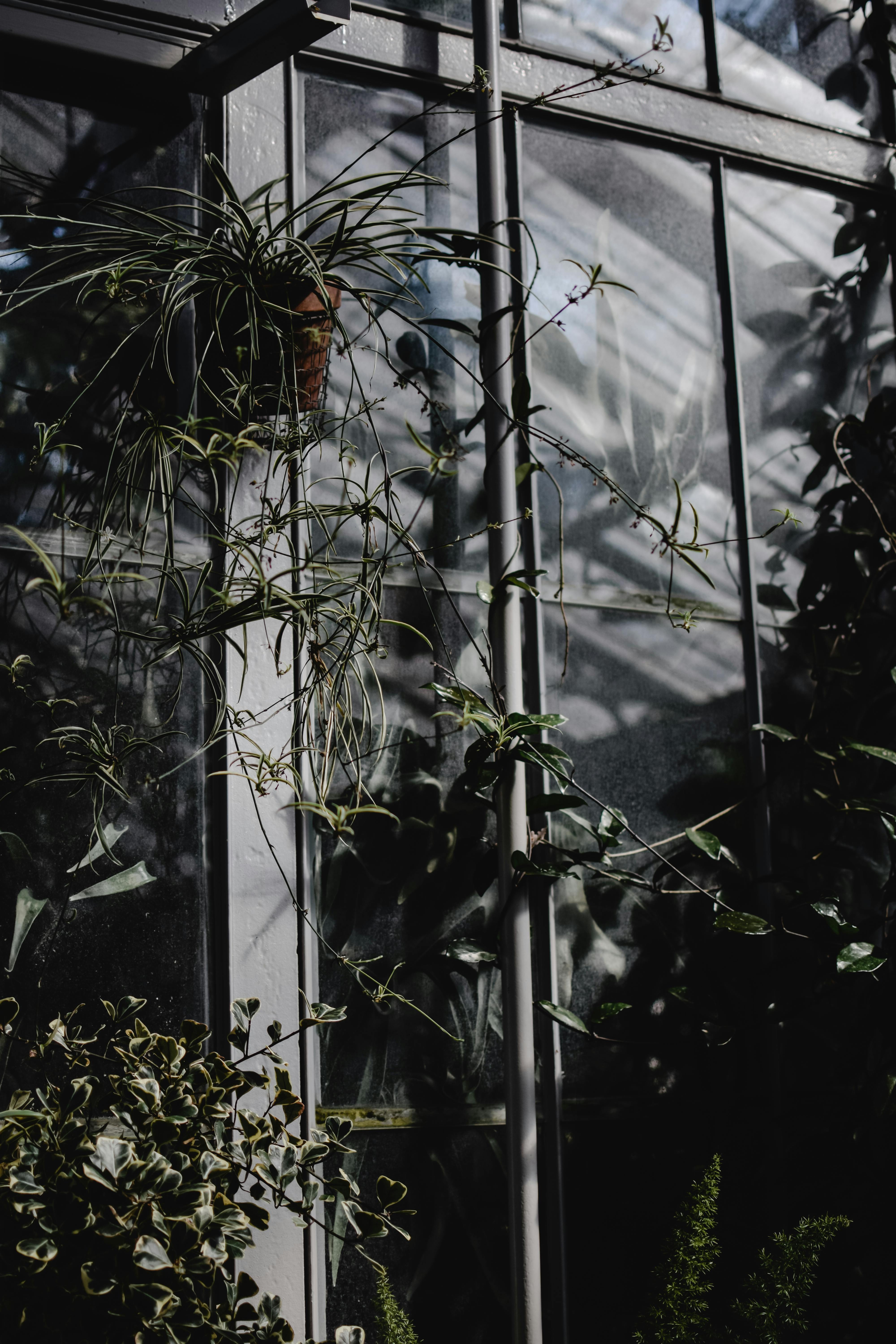 40,000+ Best Garden Plots Photos · 100% Free Download · Pexels Stock Photos