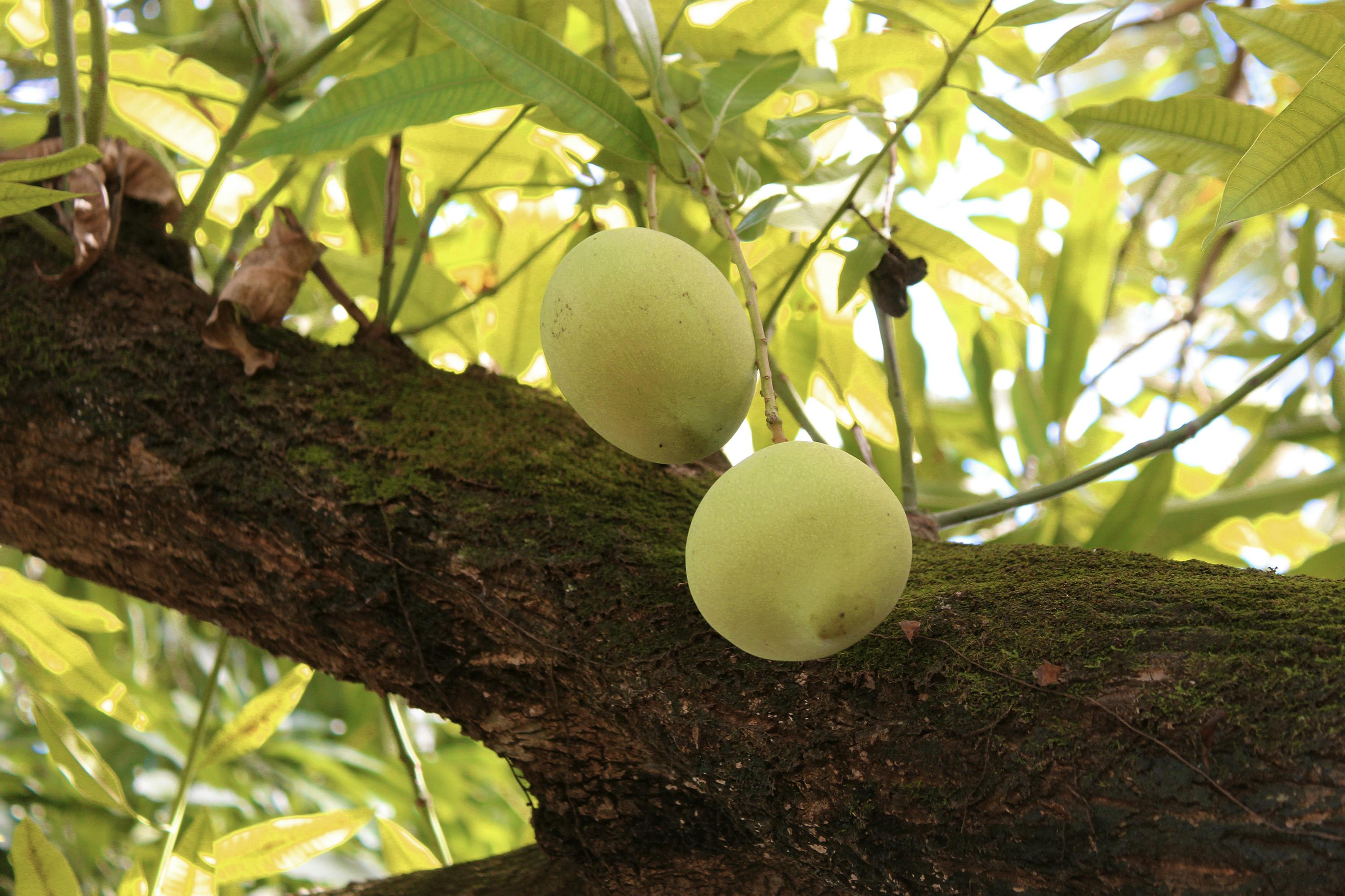 Allan Zander Chris Urpina - Photography