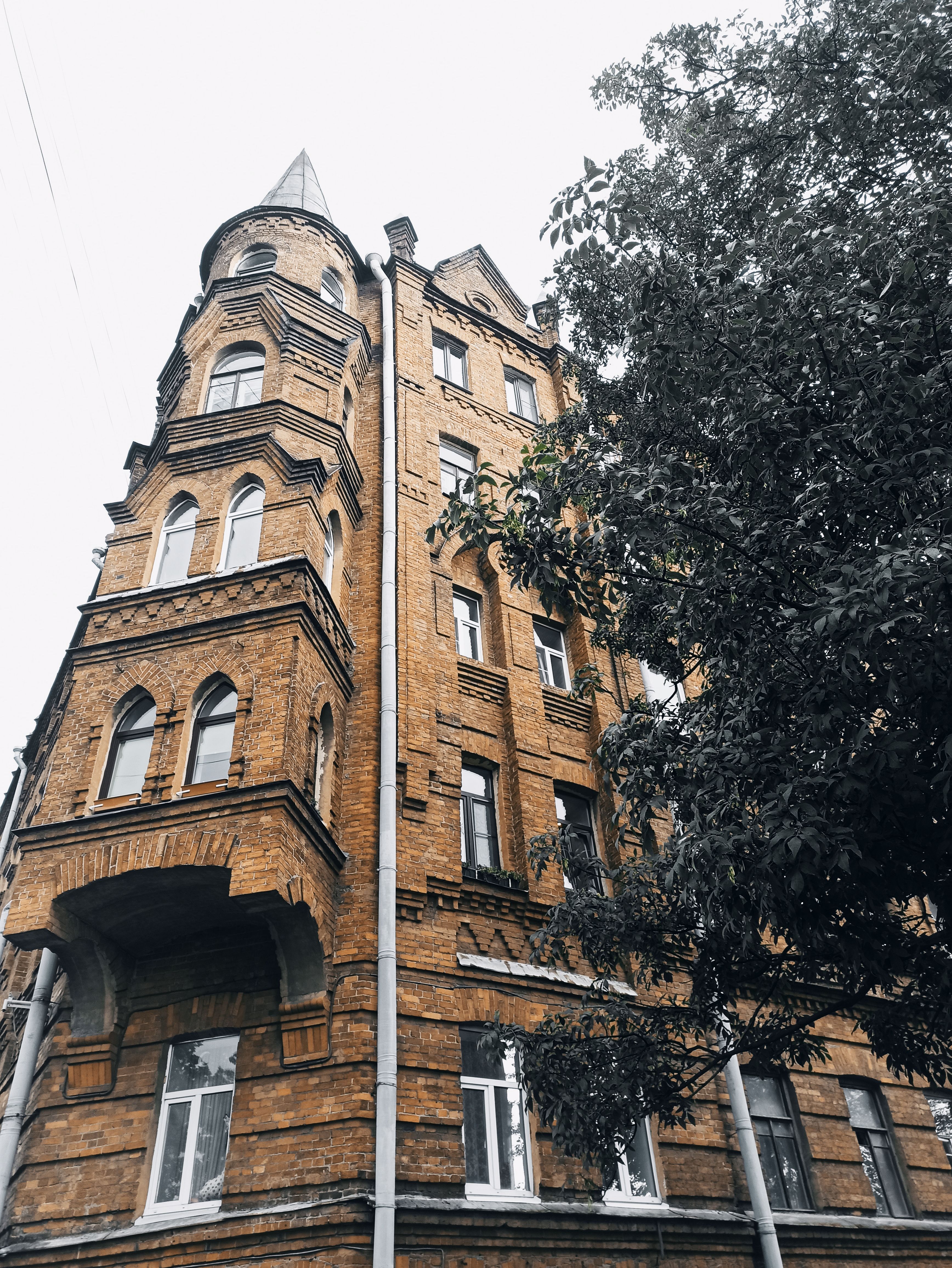 Windows in a Traditional Tenement · Free Stock Photo