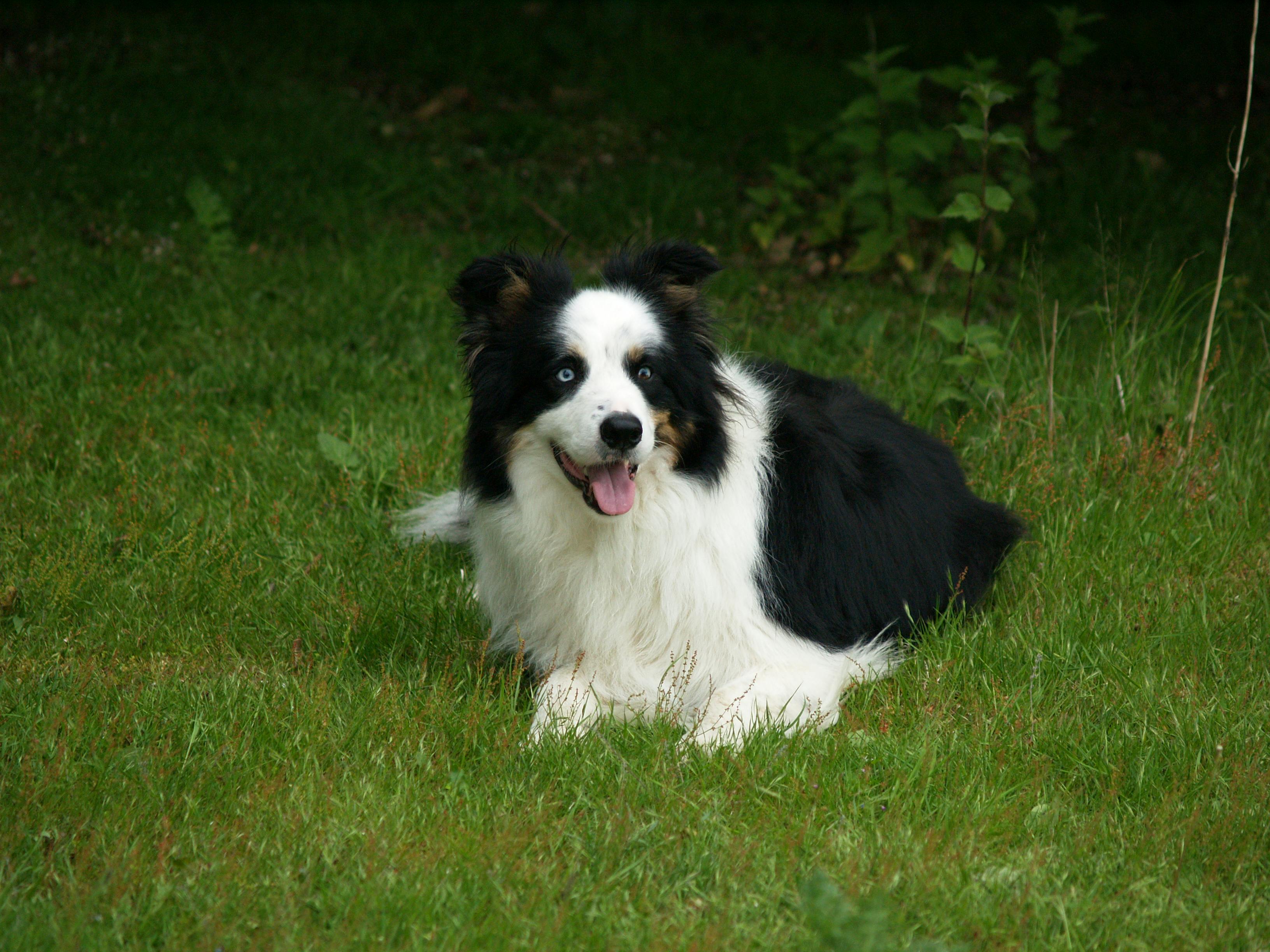 Chris Hancock - 사진