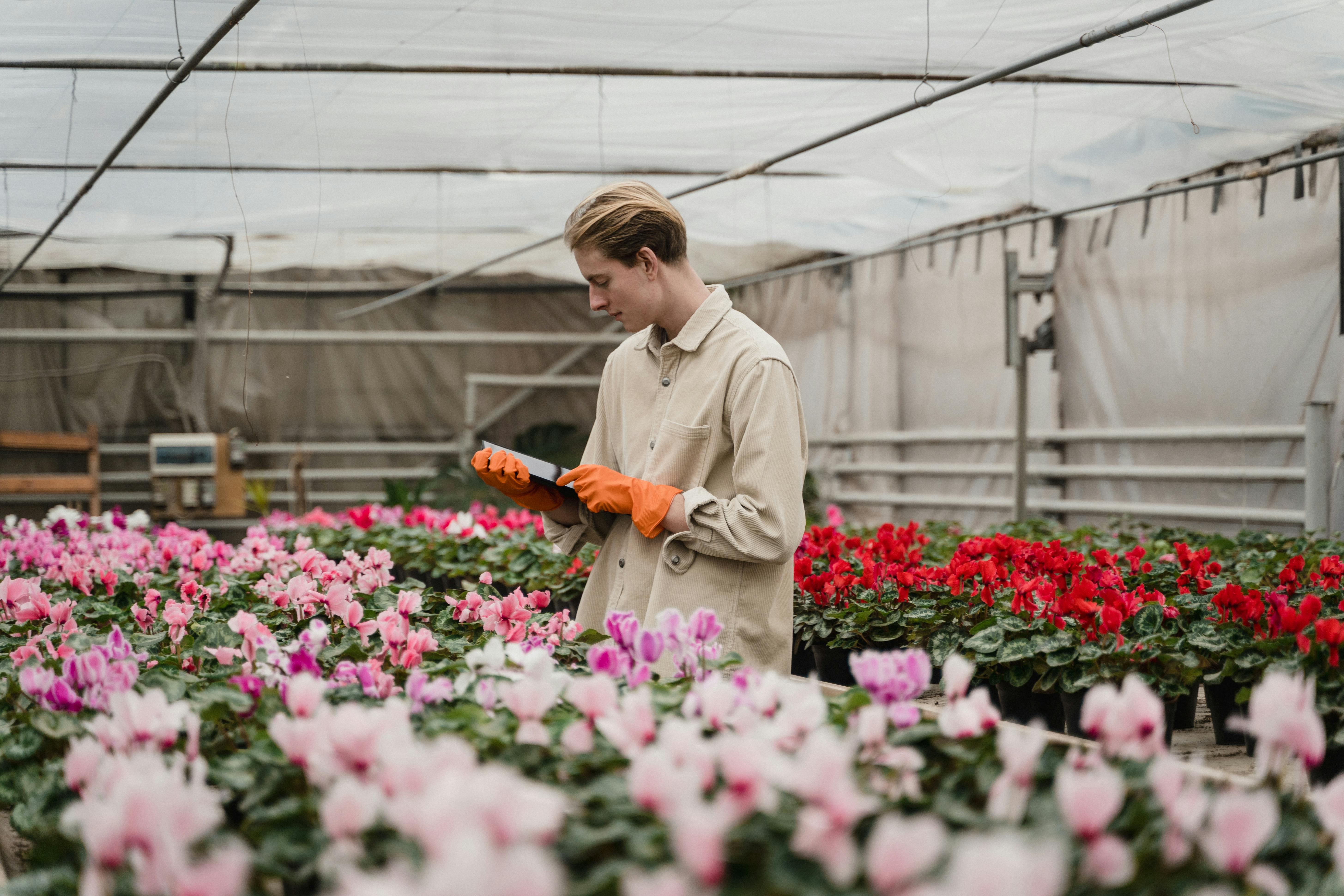 Man Checking on Flowering Plants · Free Stock Photo