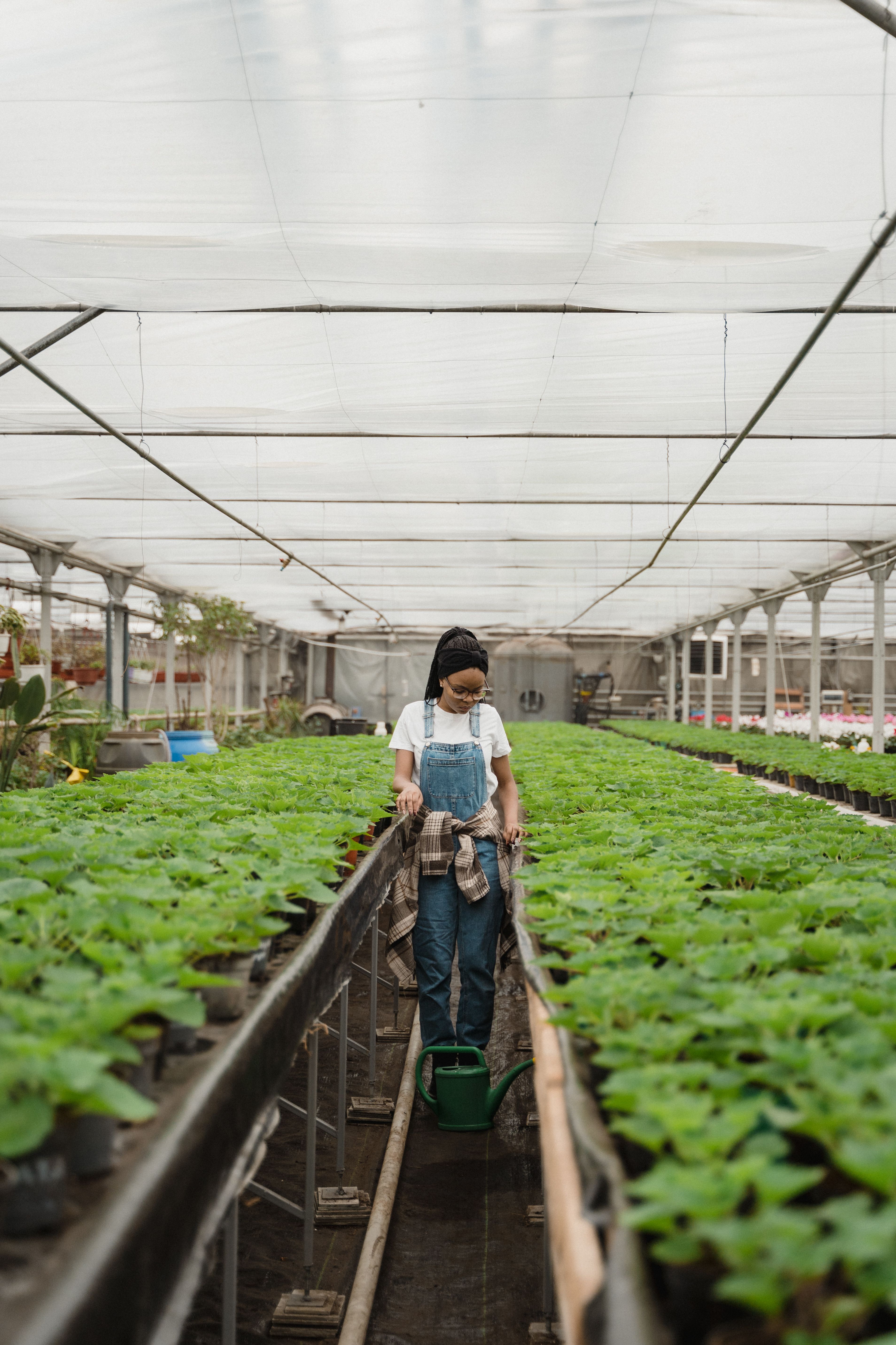 Systematic Farming Photos, Download The BEST Free Systematic Farming ...