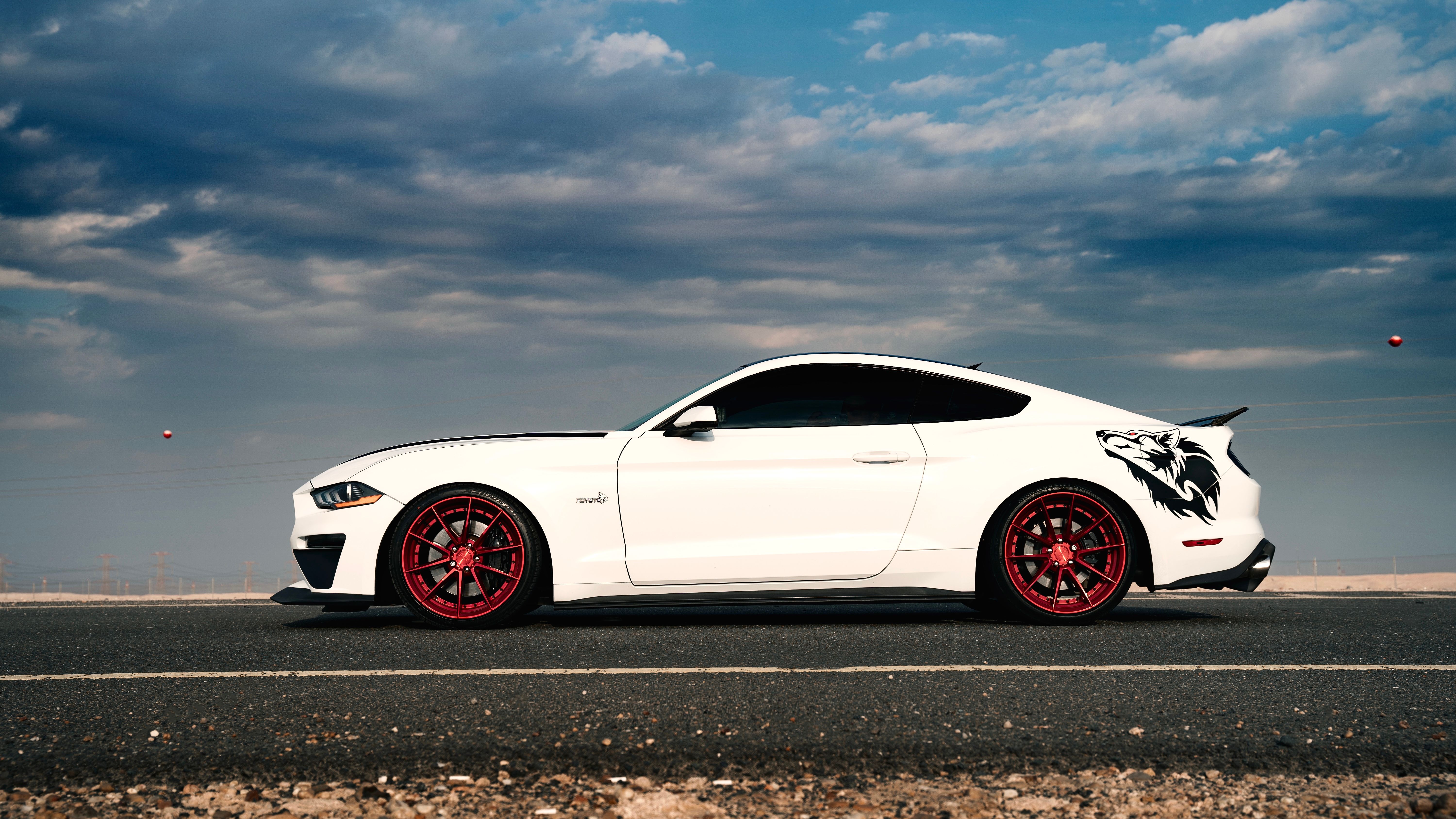 Car Decal Photos, Download The BEST Free Car Decal Stock Photos & HD Images