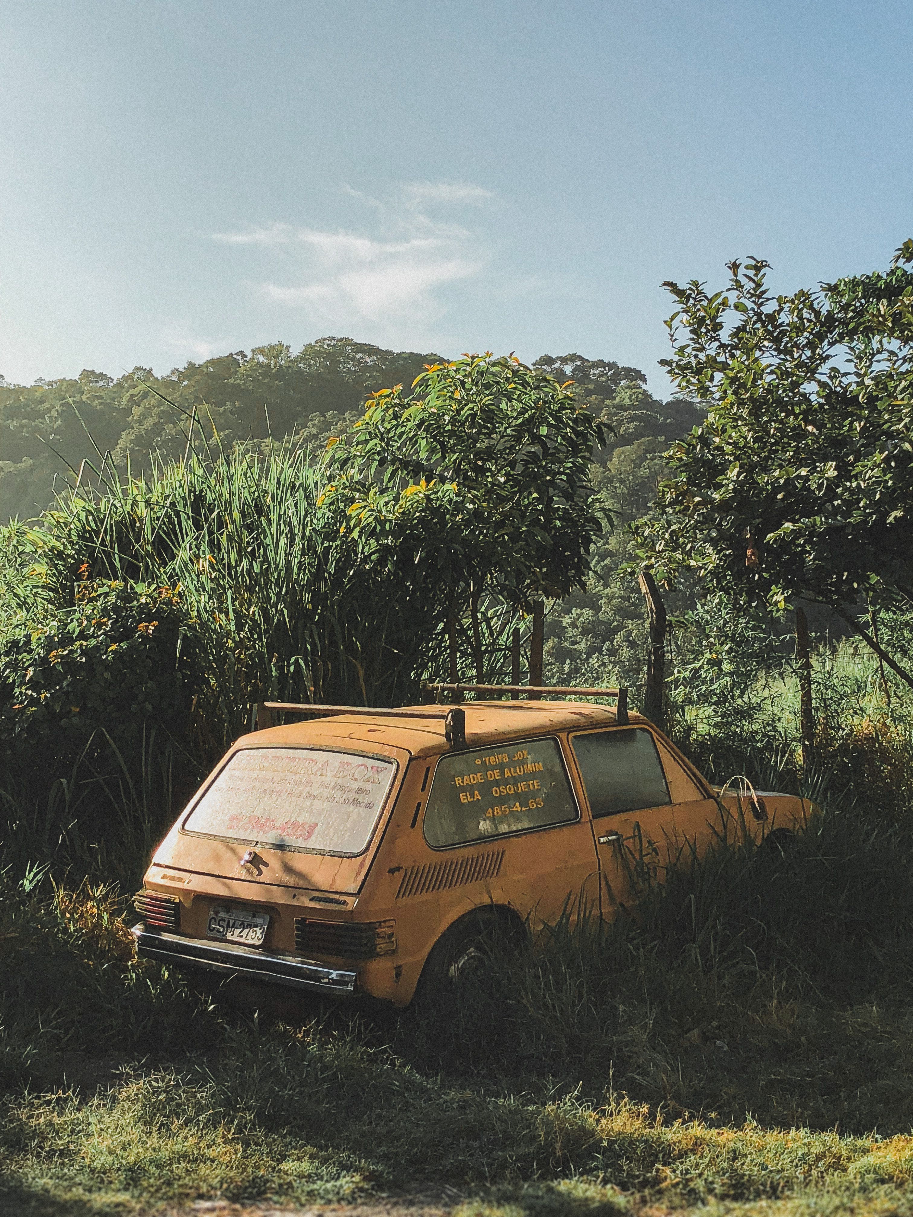 Abandoned Car through Bushes · Free Stock Photo