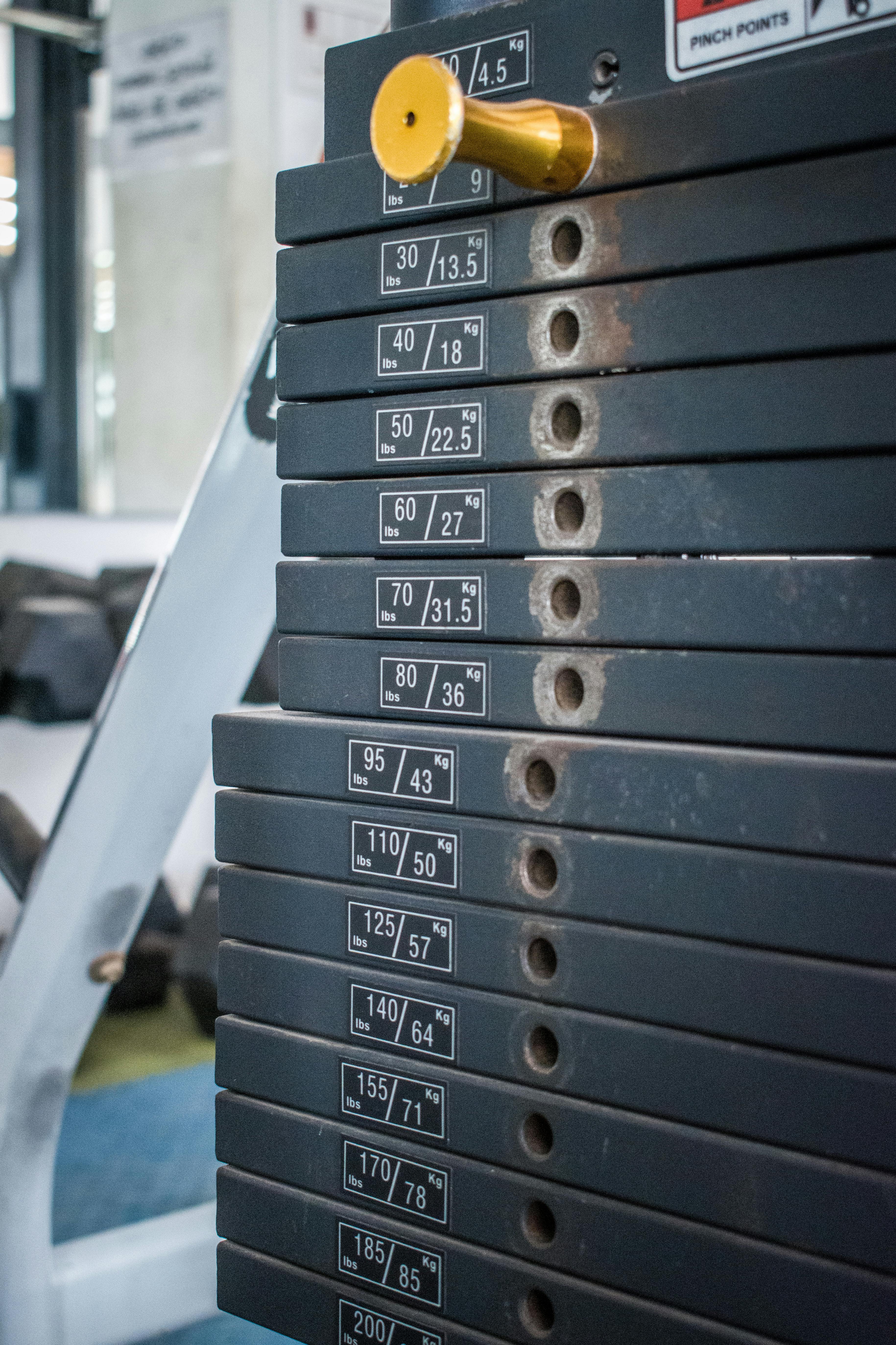 Weights at the Gym · Free Stock Photo
