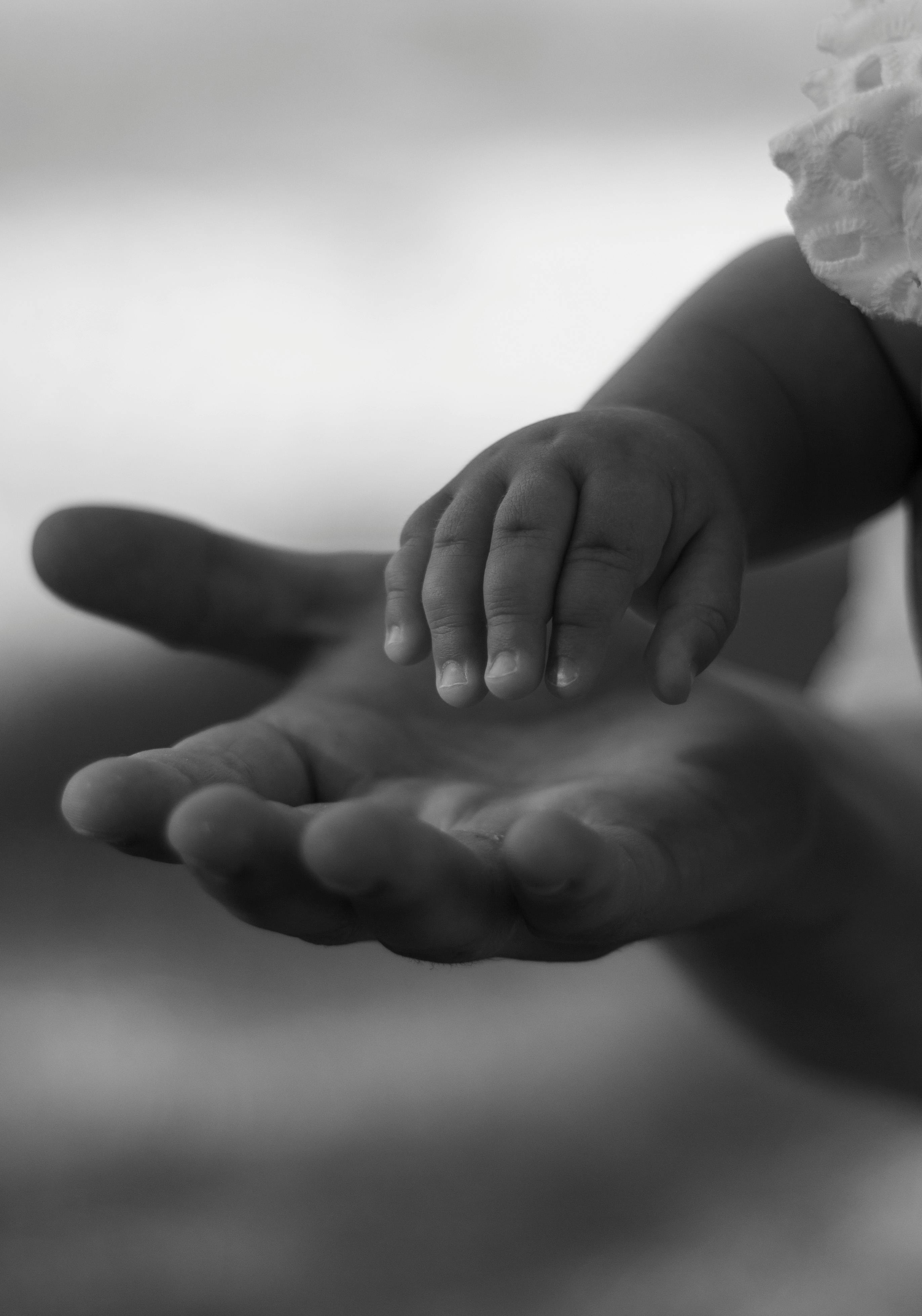 Monochrome photo of Hands · Free Stock Photo