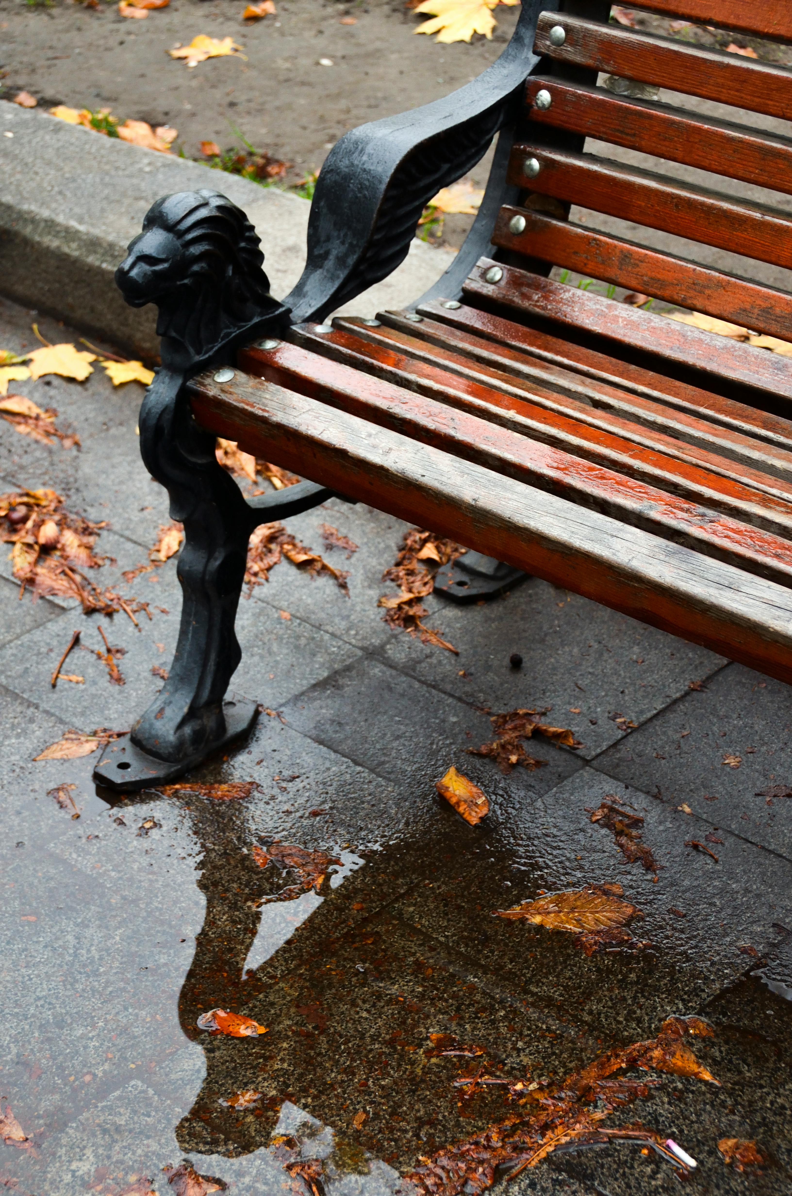Paddle under Bench · Free Stock Photo