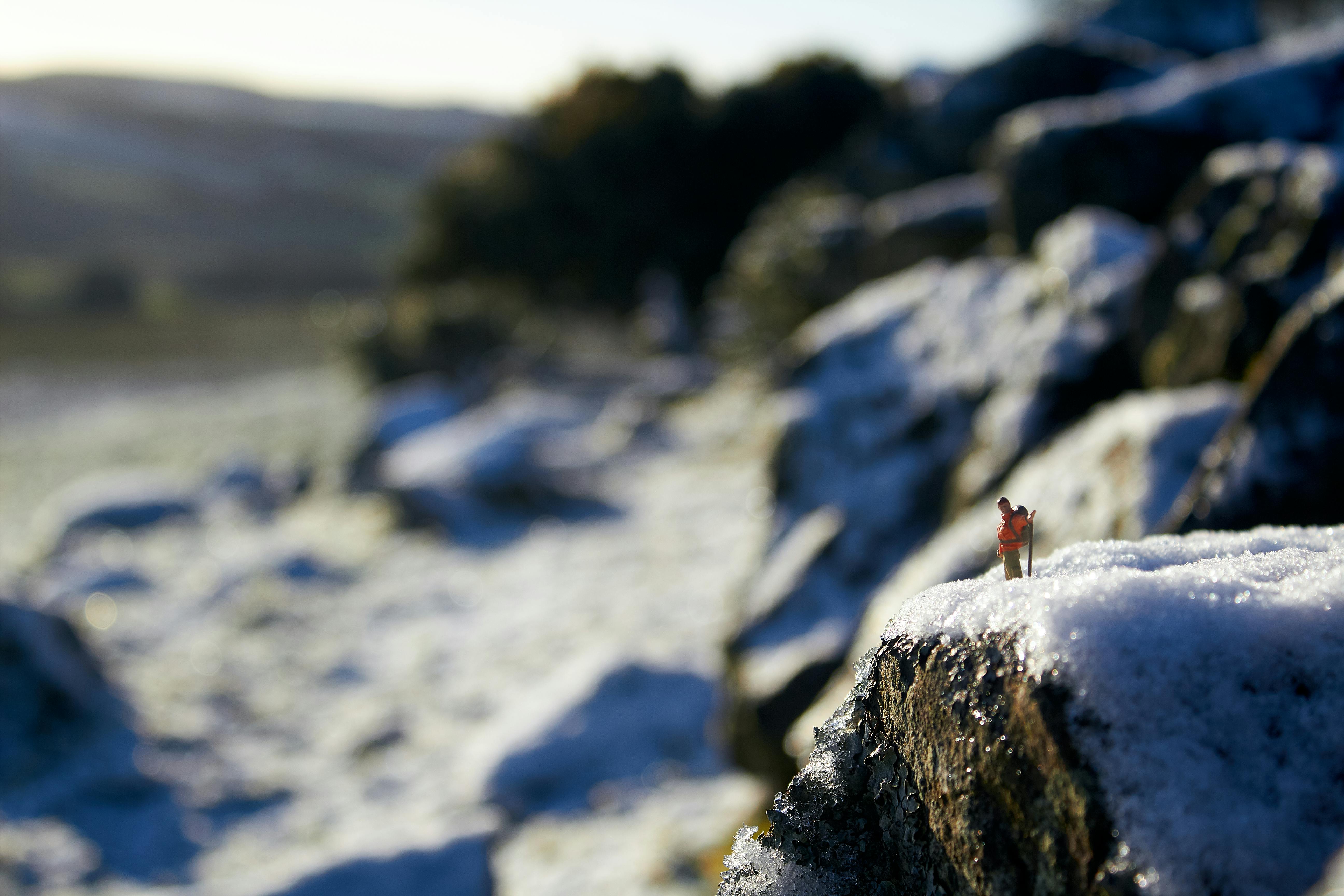 Josh Hartley - 攝影