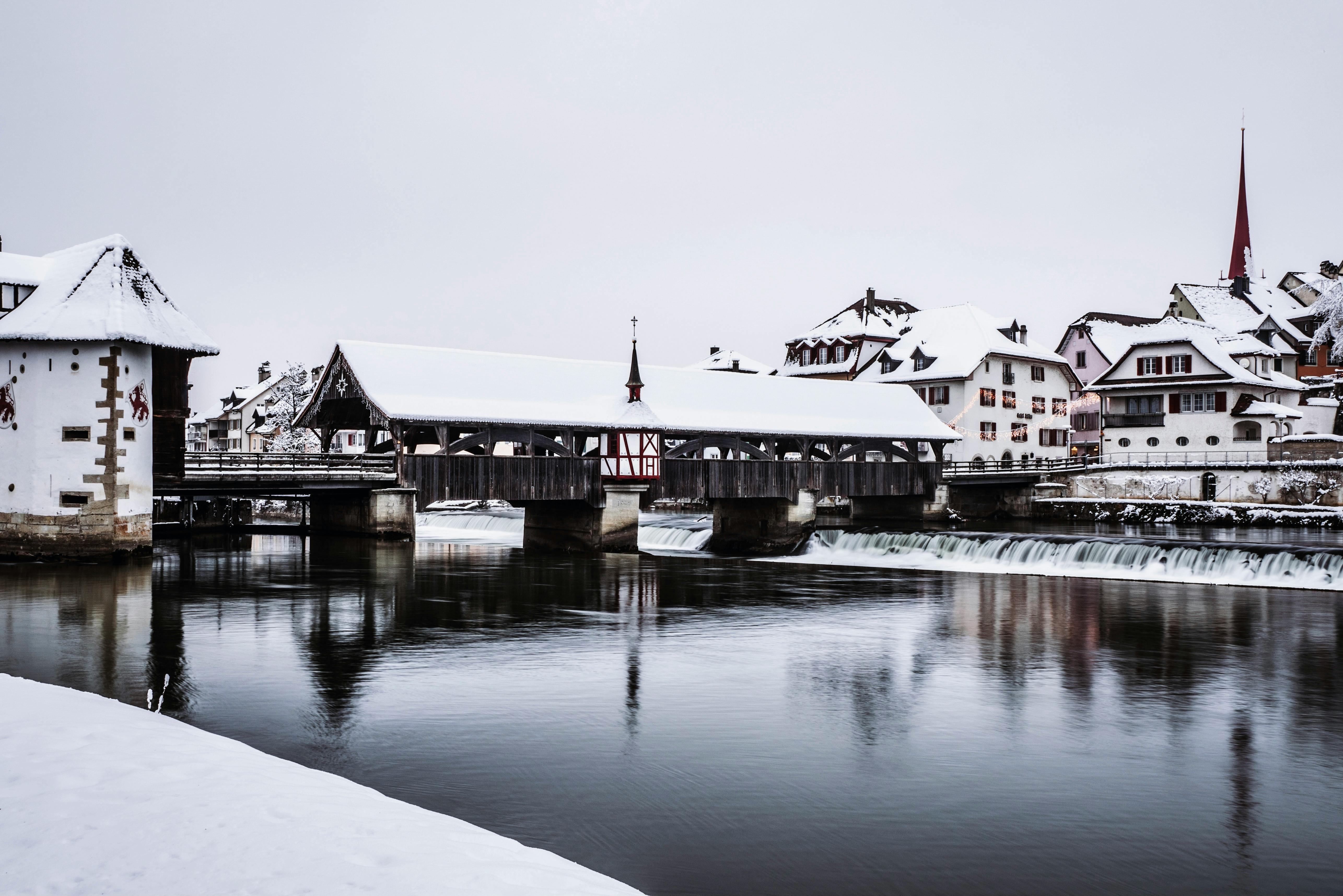 Calm town with white houses near river · Free Stock Photo