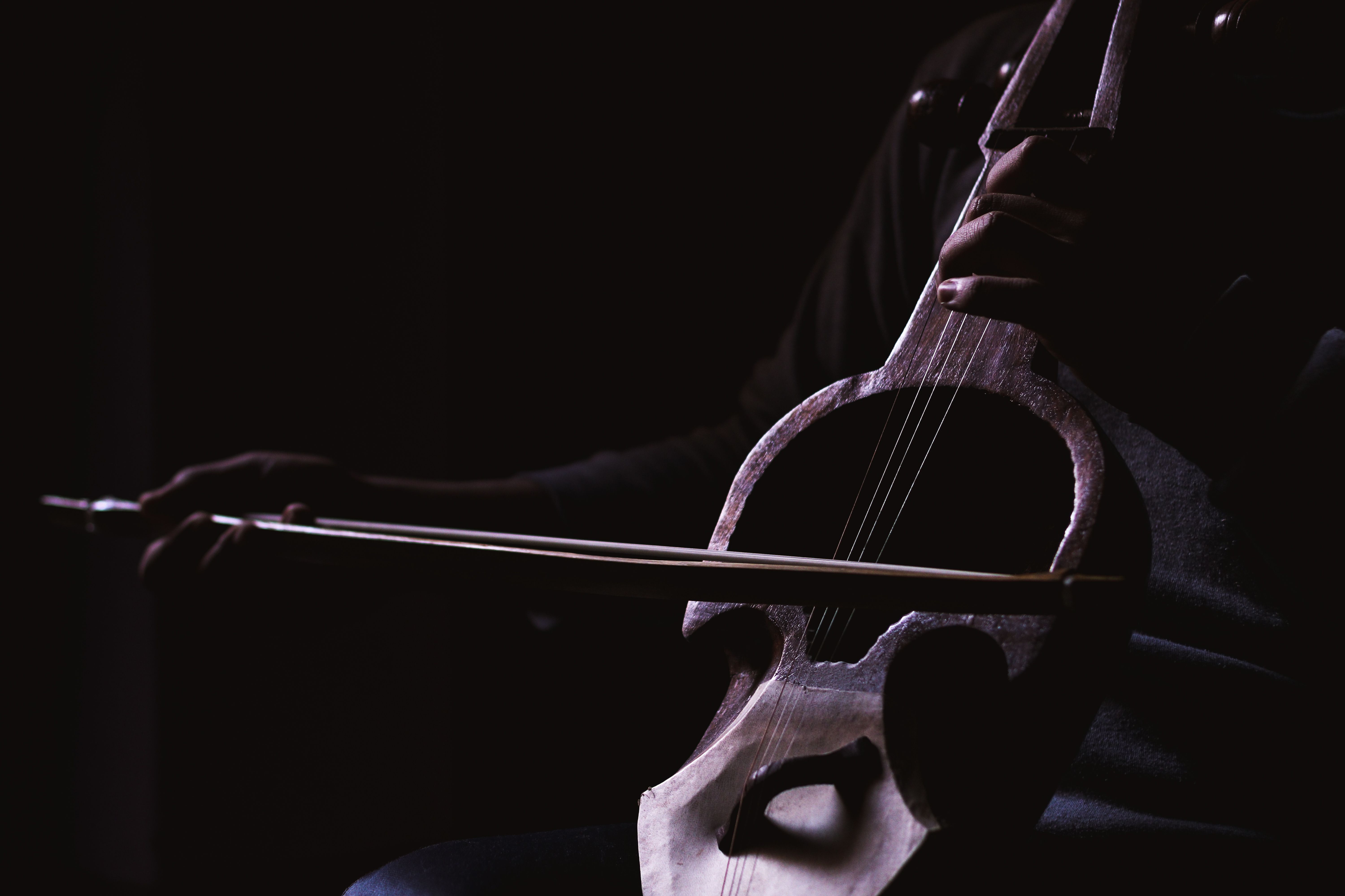 Woman Playing Traditional Instrument · Free Stock Photo