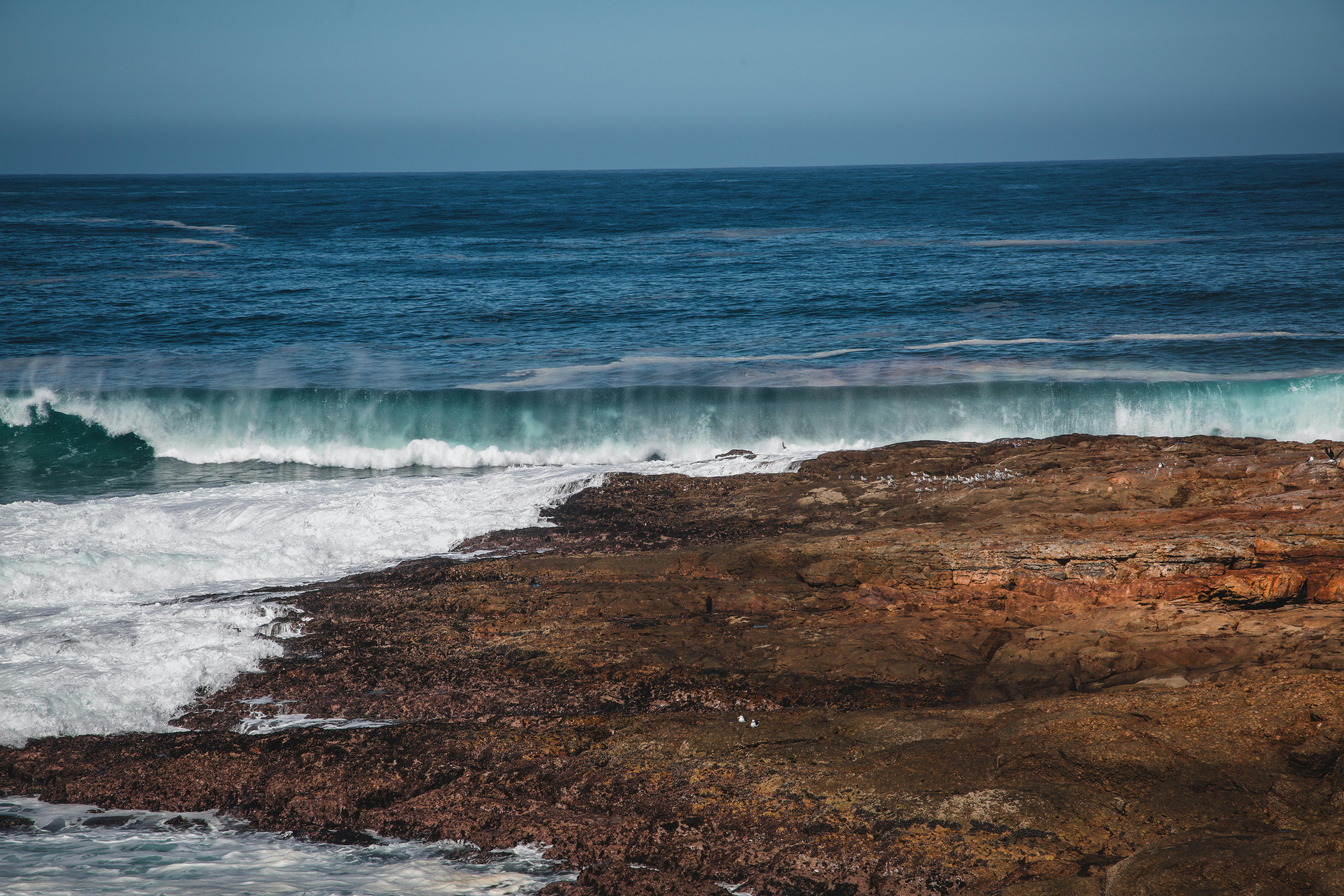 Waves Crashing on the Shore · Free Stock Photo