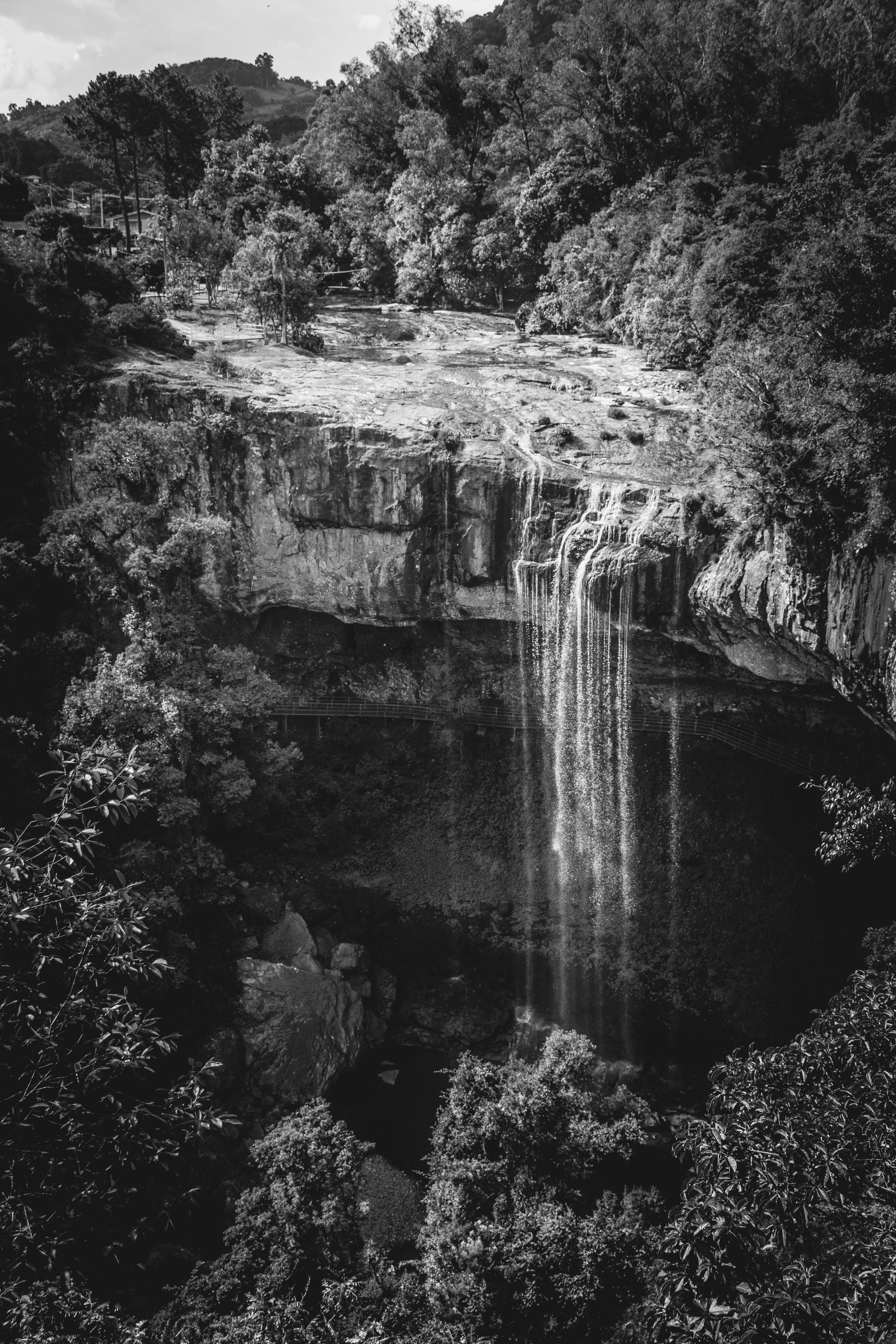 Grayscale Photo of Waterfalls in Forest · Free Stock Photo