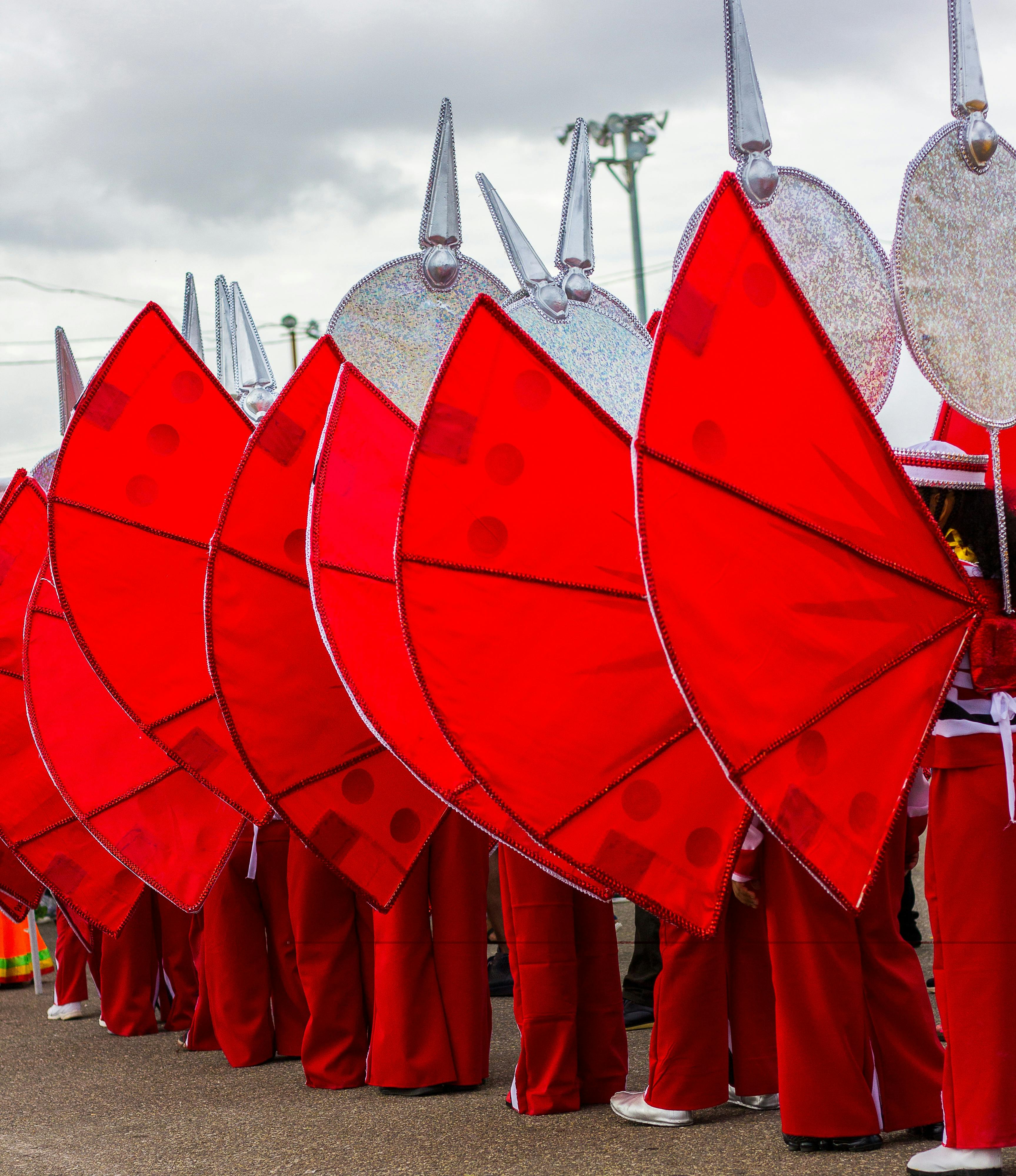 People carrying Red Flags · Free Stock Photo