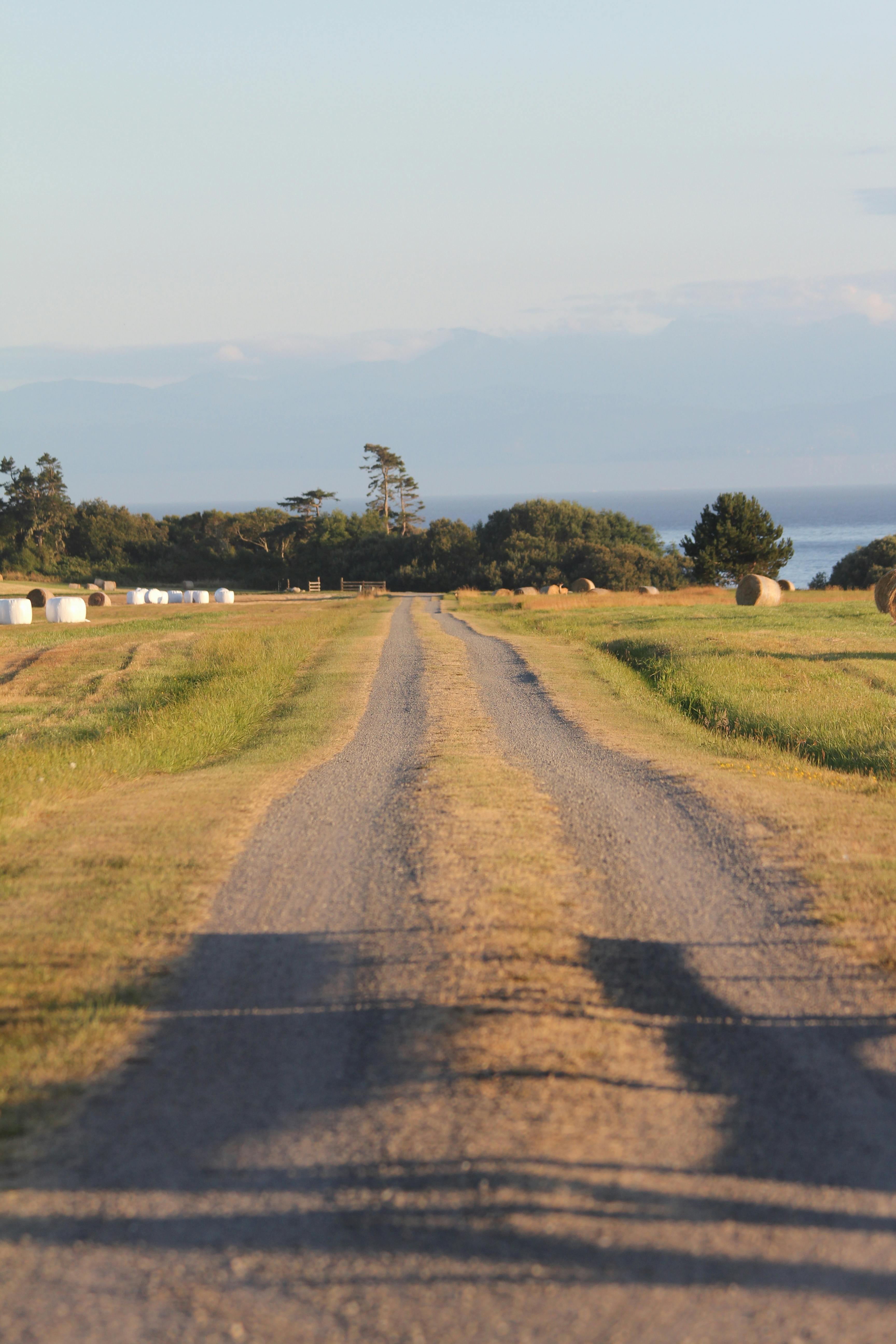Country Road on Farm Field · Free Stock Photo