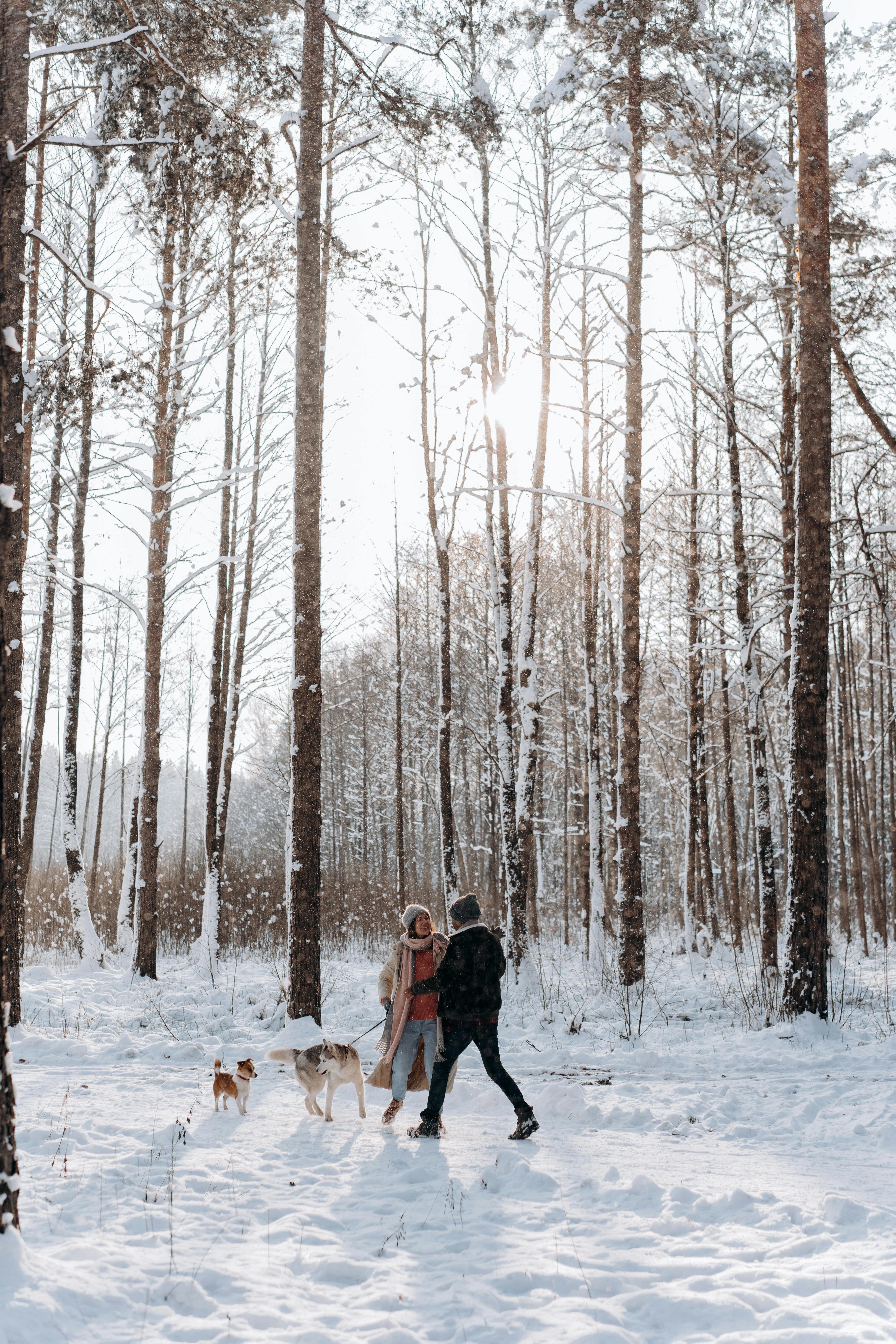 200+ Best Chilly Photos · 100% Free Download · Pexels Stock Photos